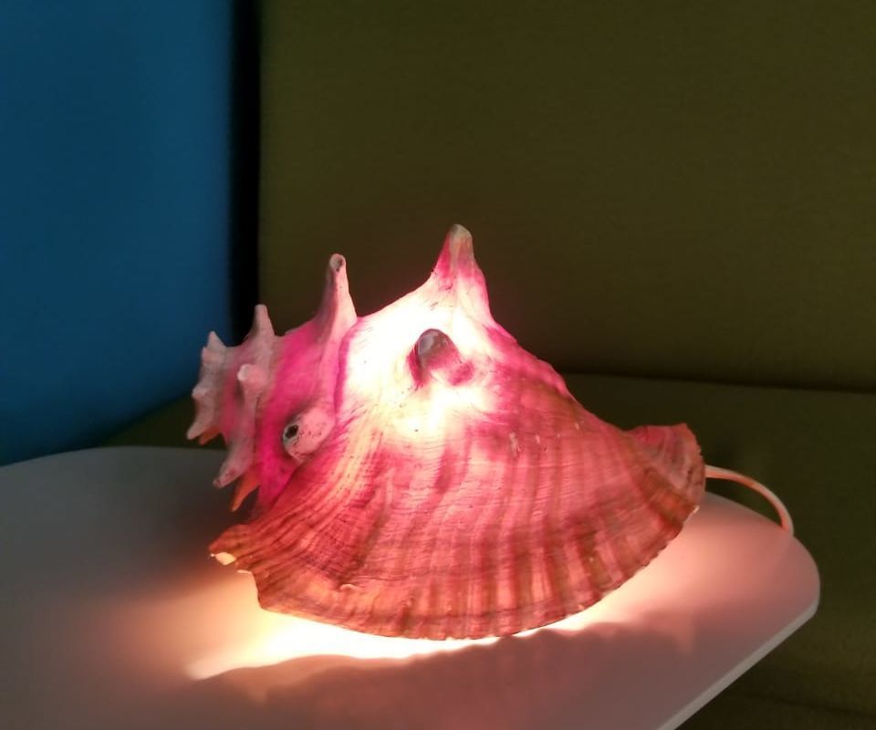 Simple Conch Shell Ambient Light : 6 Steps - Instructables