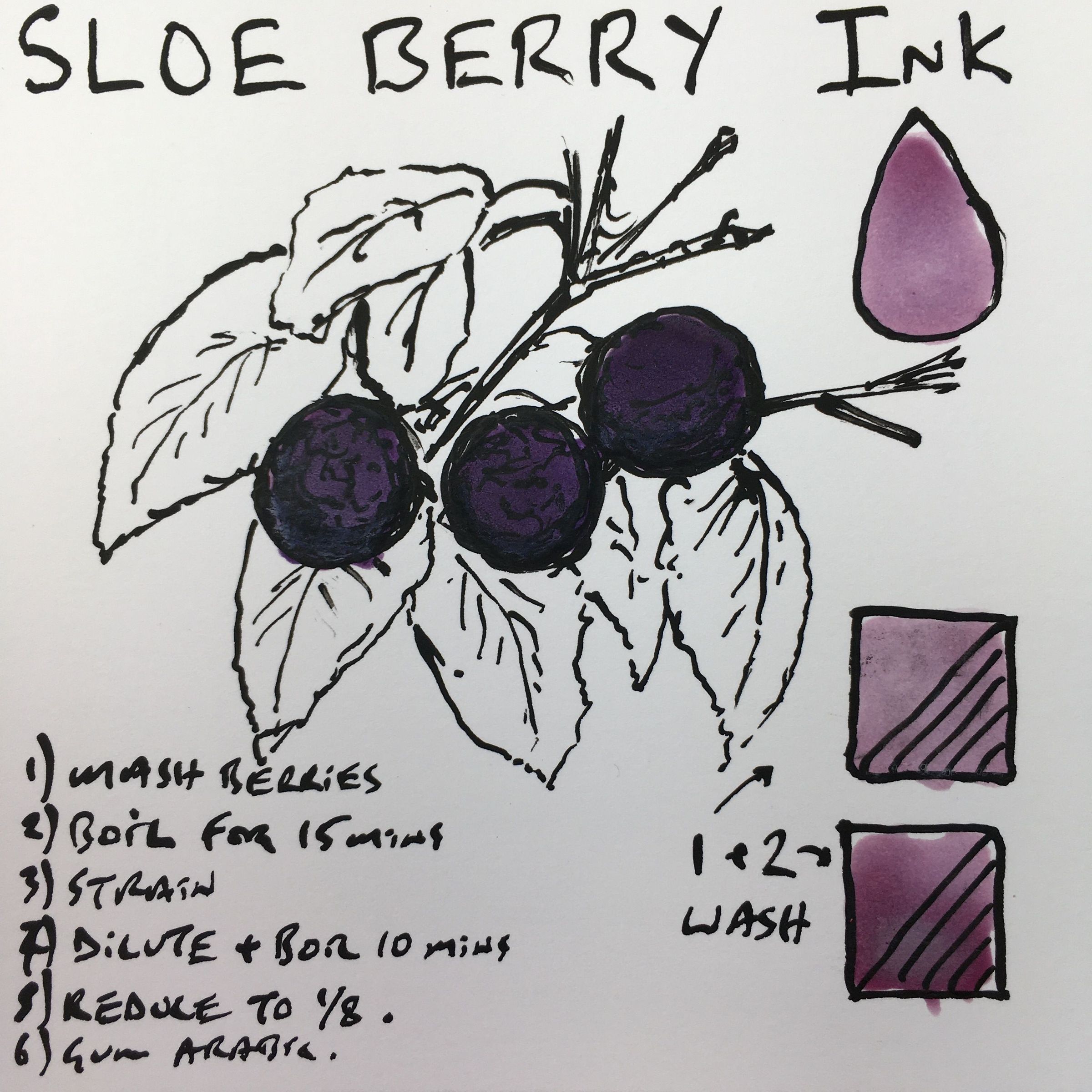 Home Made Ink From Nature: Perfect Purples : 18 Steps (with Pictures ...