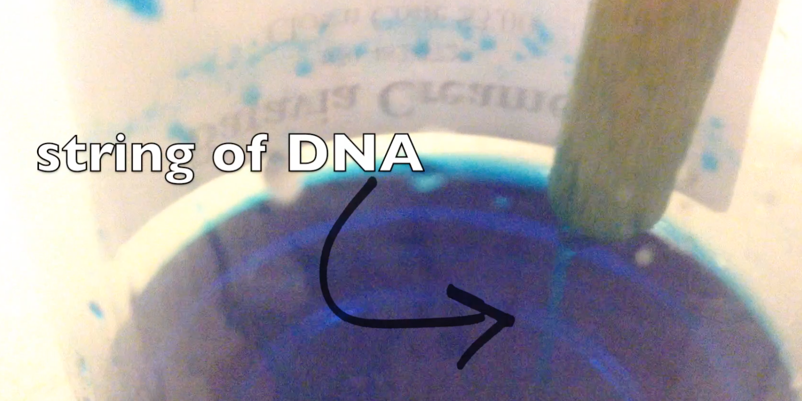 How to Extract Your Own DNA at Home : 7 Steps - Instructables