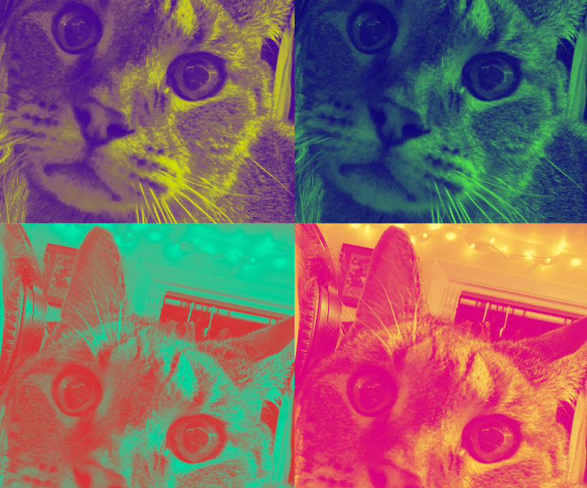 Bazaart Pop Art Portrait : 8 Steps - Instructables