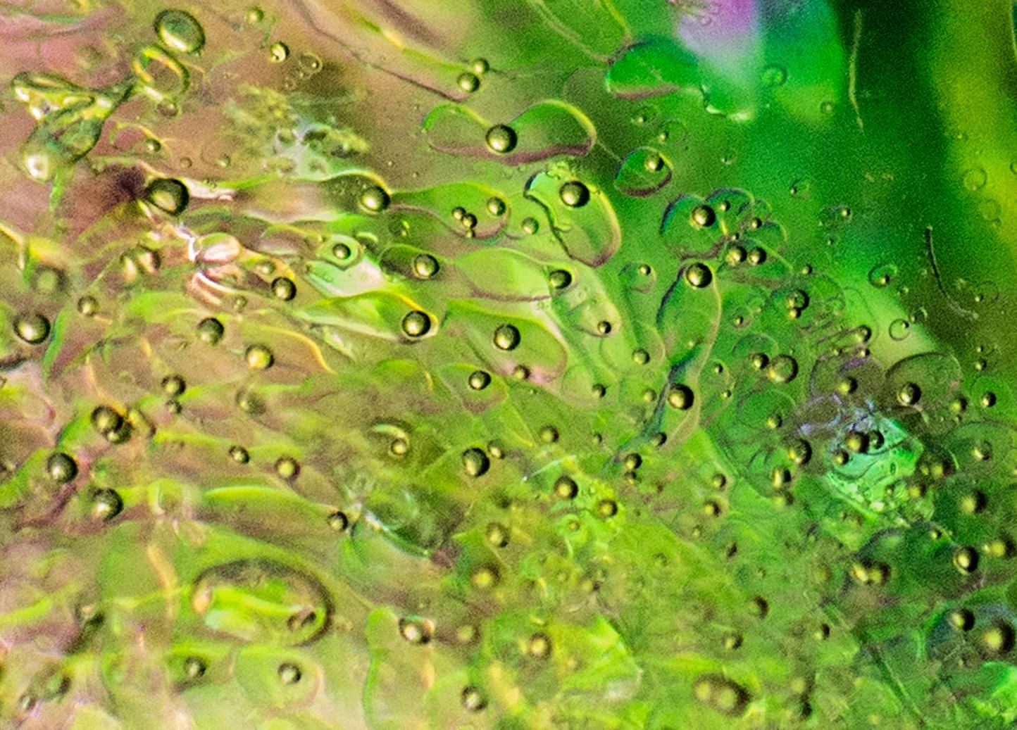 Ice Photography: Mind-blowing Macro : 14 Steps (with Pictures ...