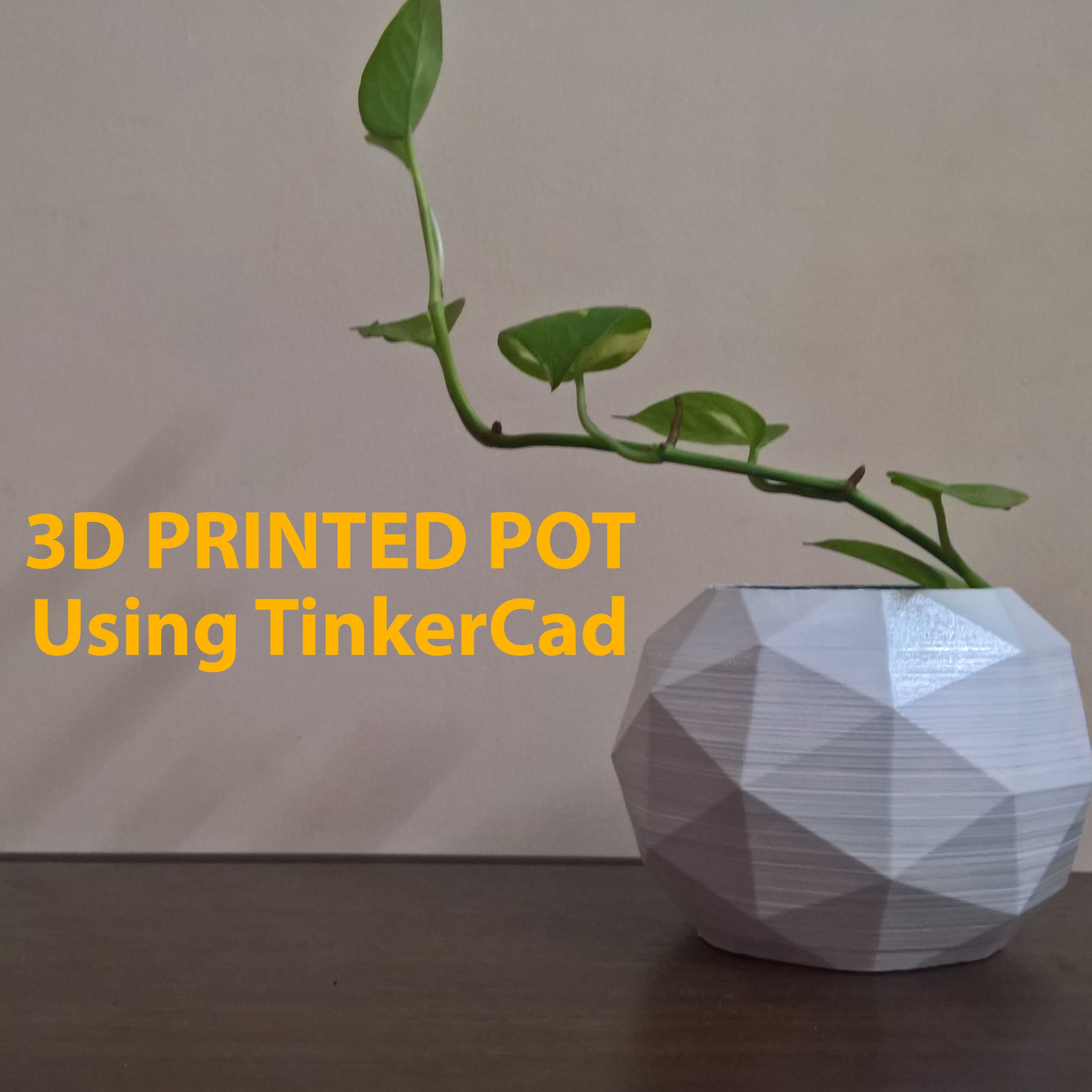3D Printed Pot Using TinkerCad : 4 Steps - Instructables
