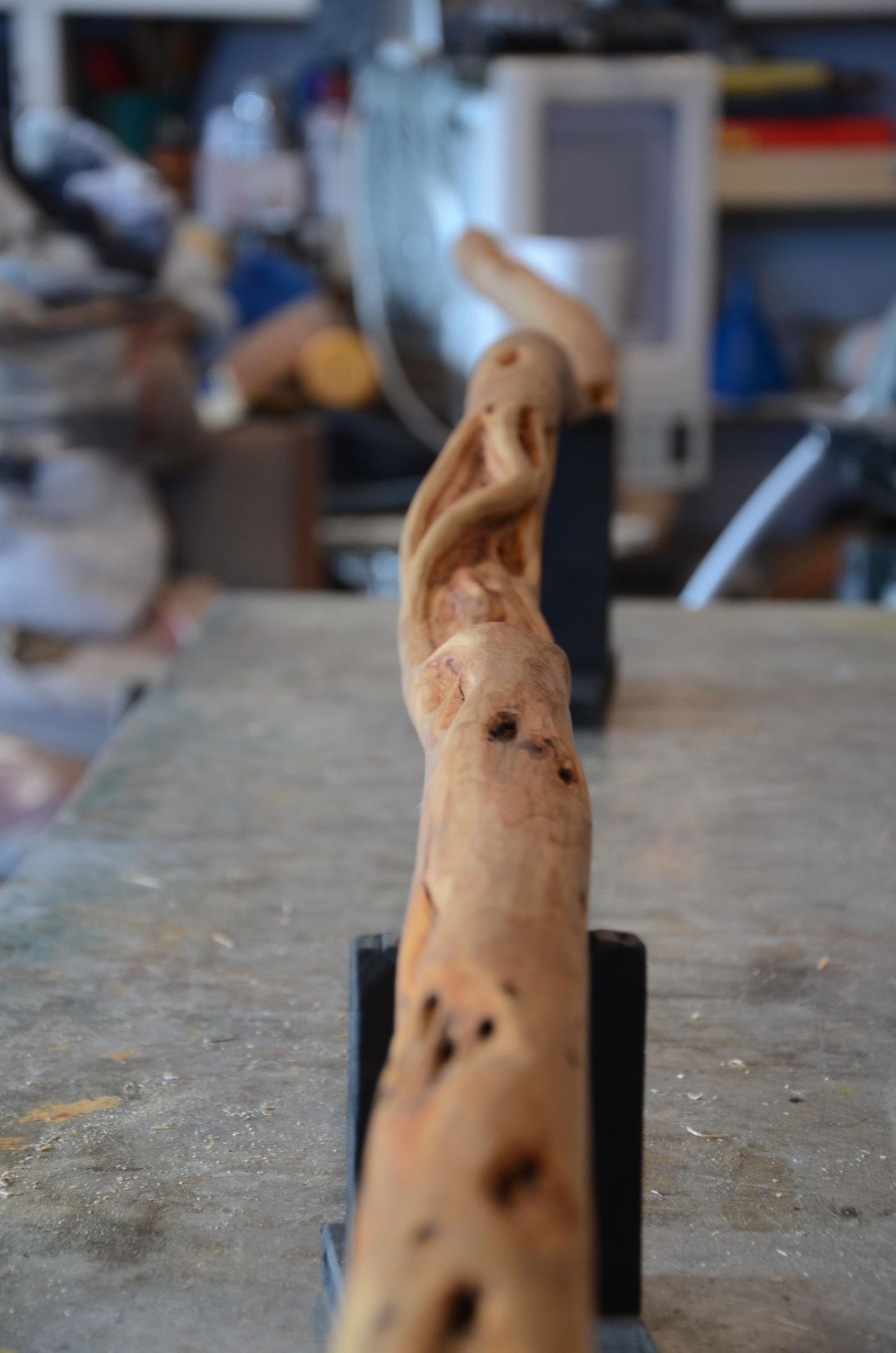 Diamond Willow Walking Stick : 7 Steps (with Pictures) - Instructables