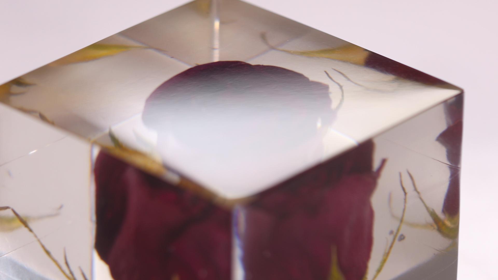 How to Cast Flowers in Epoxy Resin - DIY Resin Rose Paperweight! : 8 ...