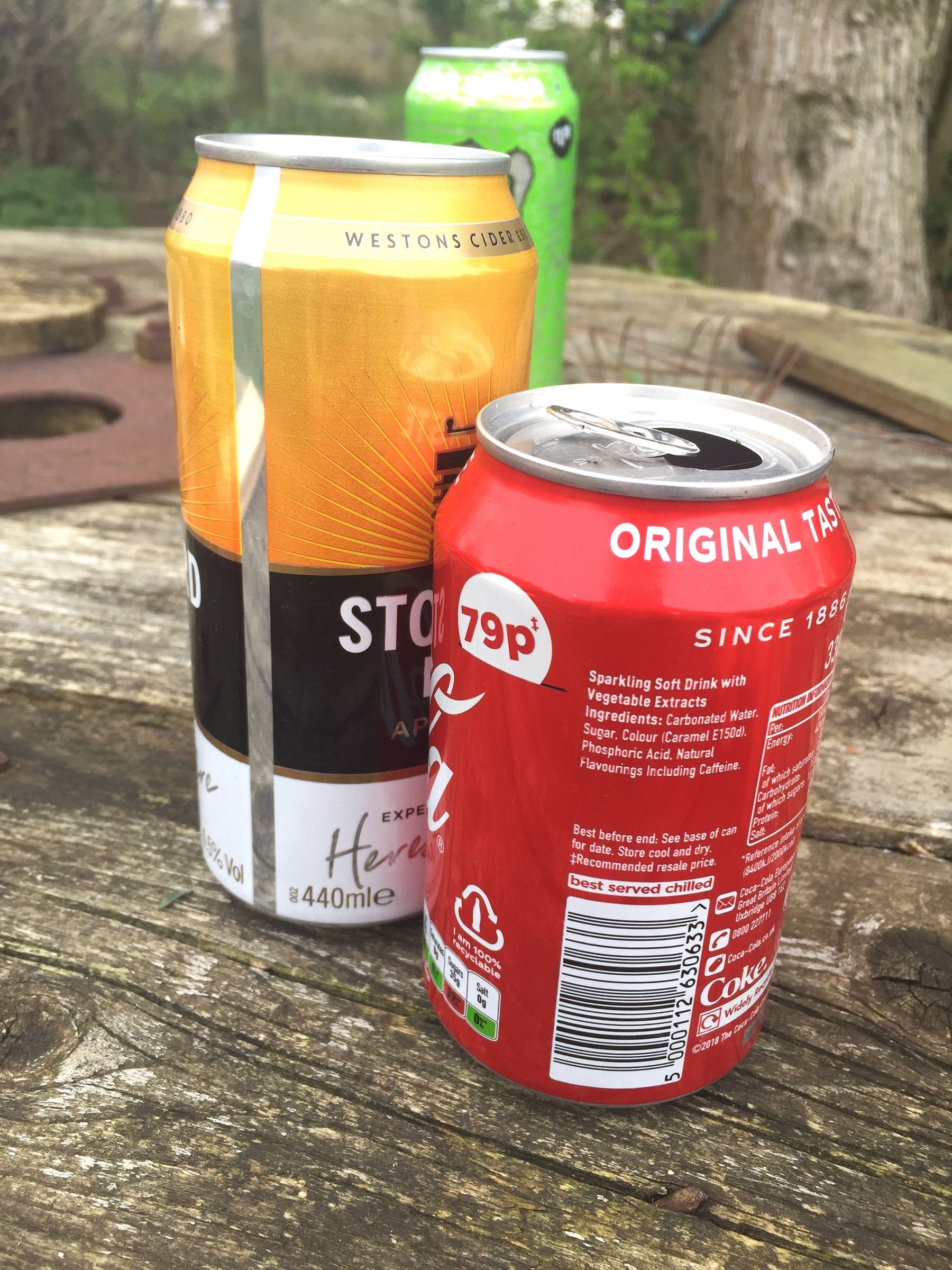 How to Make a Simple Recycled Tin-Can Flower for Your Garden or Plant ...