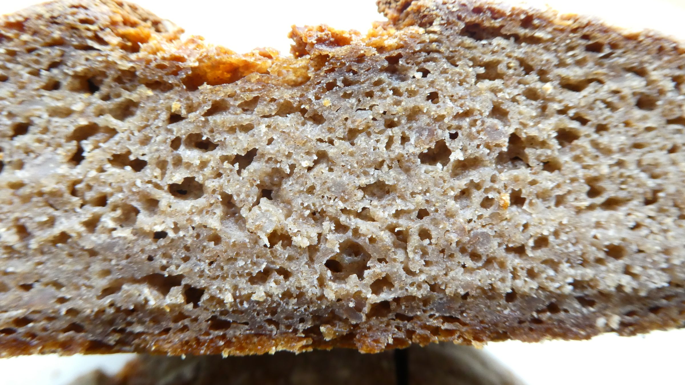 Pure Rye Bread : 31 Steps (with Pictures) - Instructables