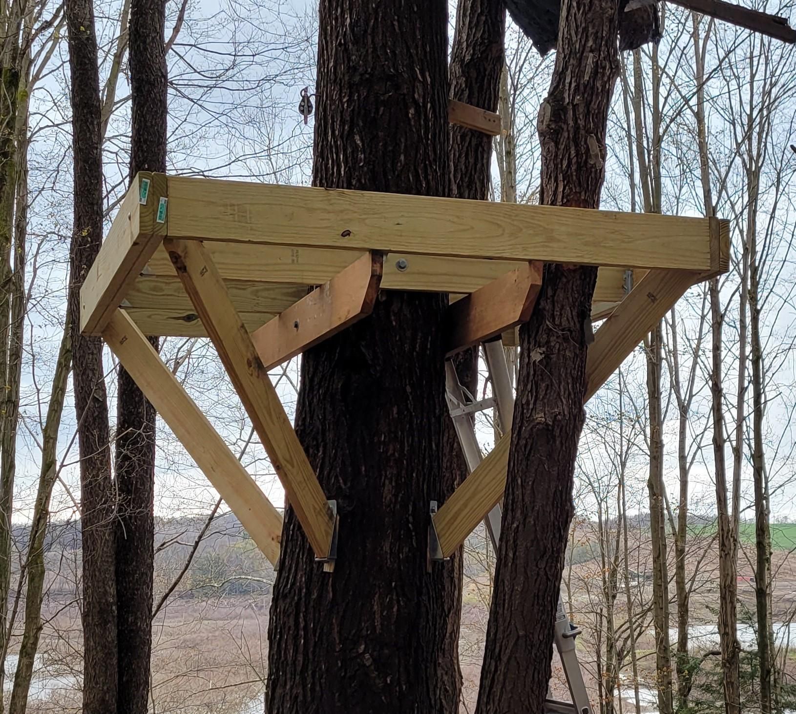 Tree Stand Blind : 12 Steps (with Pictures) - Instructables