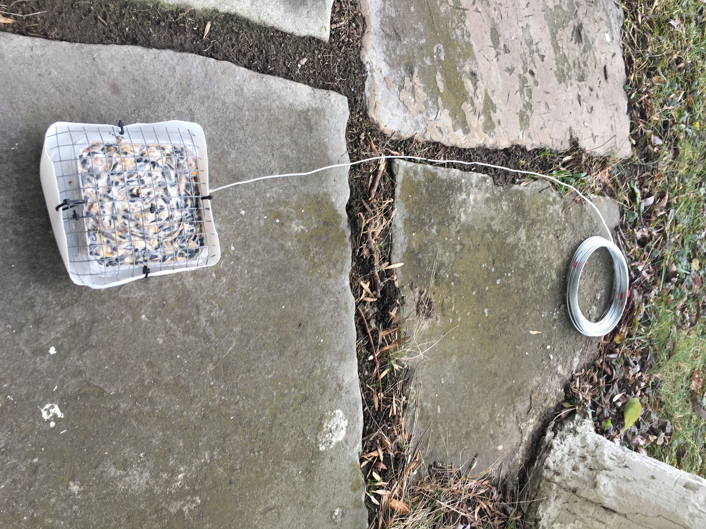 Woodpecker Suet Holder : 10 Steps - Instructables