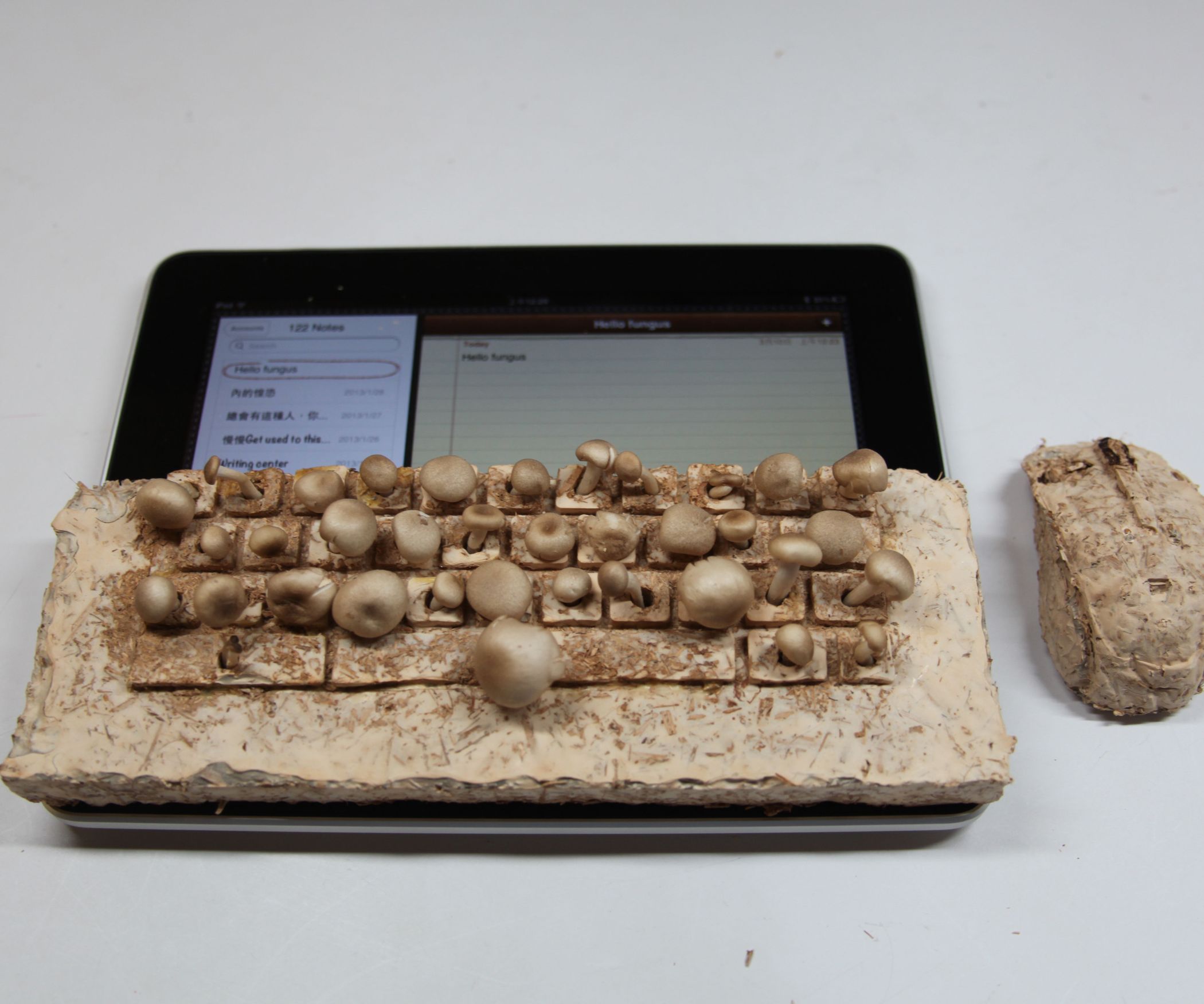 Mushroom IPad Keyboard : 6 Steps (with Pictures) - Instructables