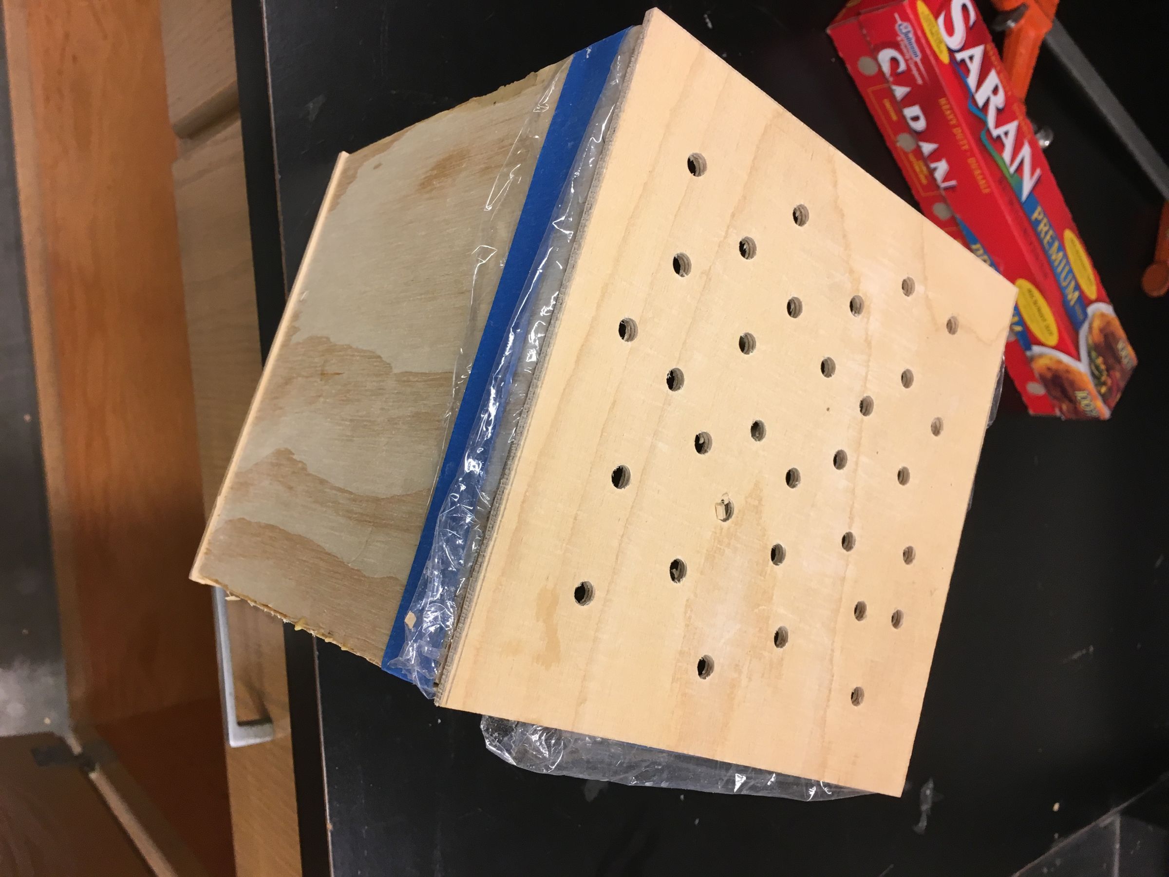Mycelium Molds : 5 Steps (with Pictures) - Instructables