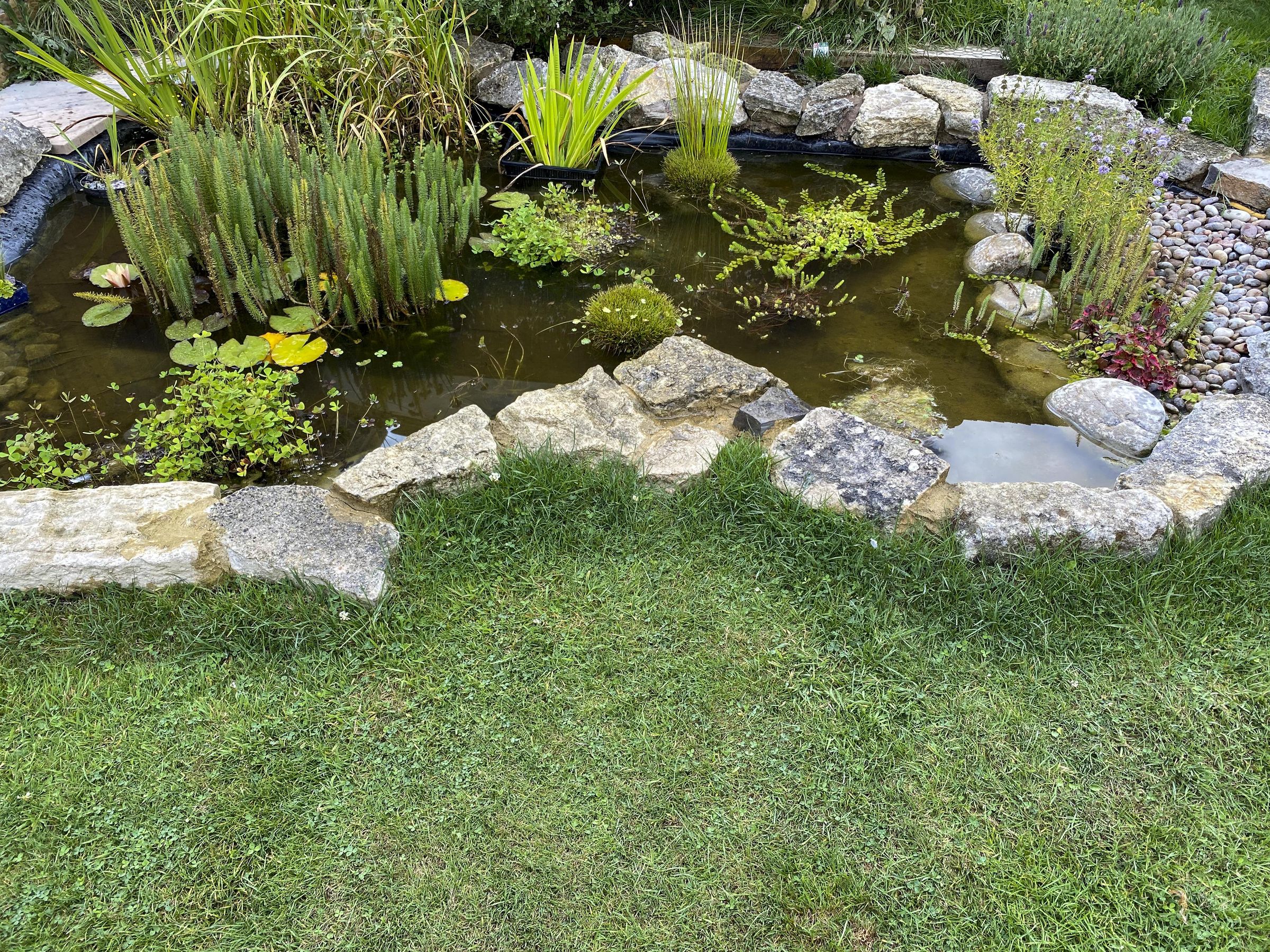 Beautiful Natural Bird Bath : 3 Steps (with Pictures) - Instructables