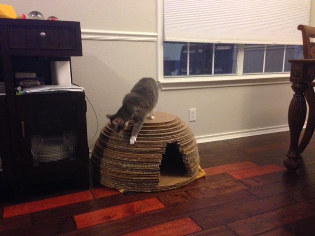 Cardboard Cat Igloo House : 6 Steps (with Pictures) - Instructables
