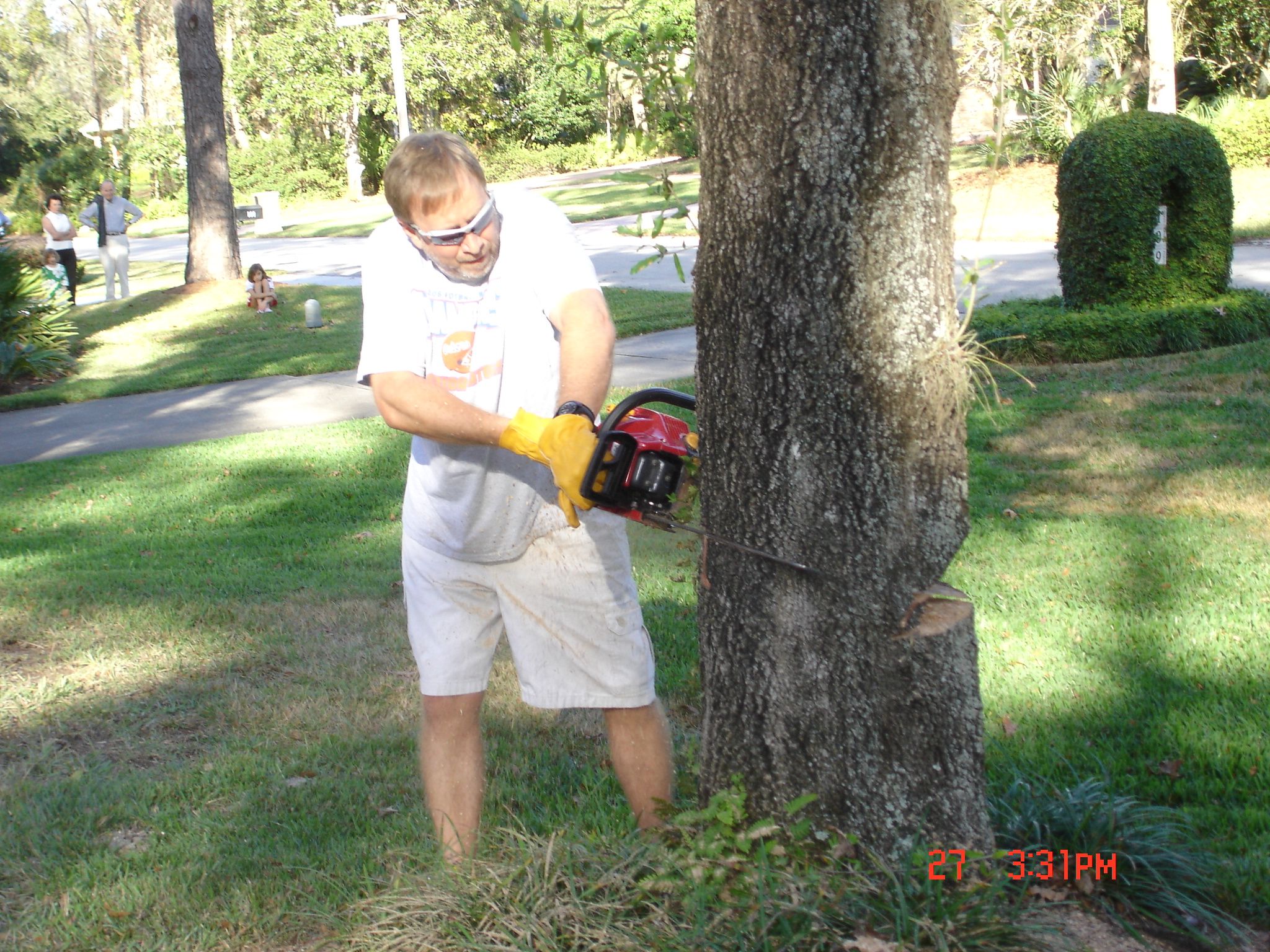 How to Cut Down a Tree : 6 Steps - Instructables