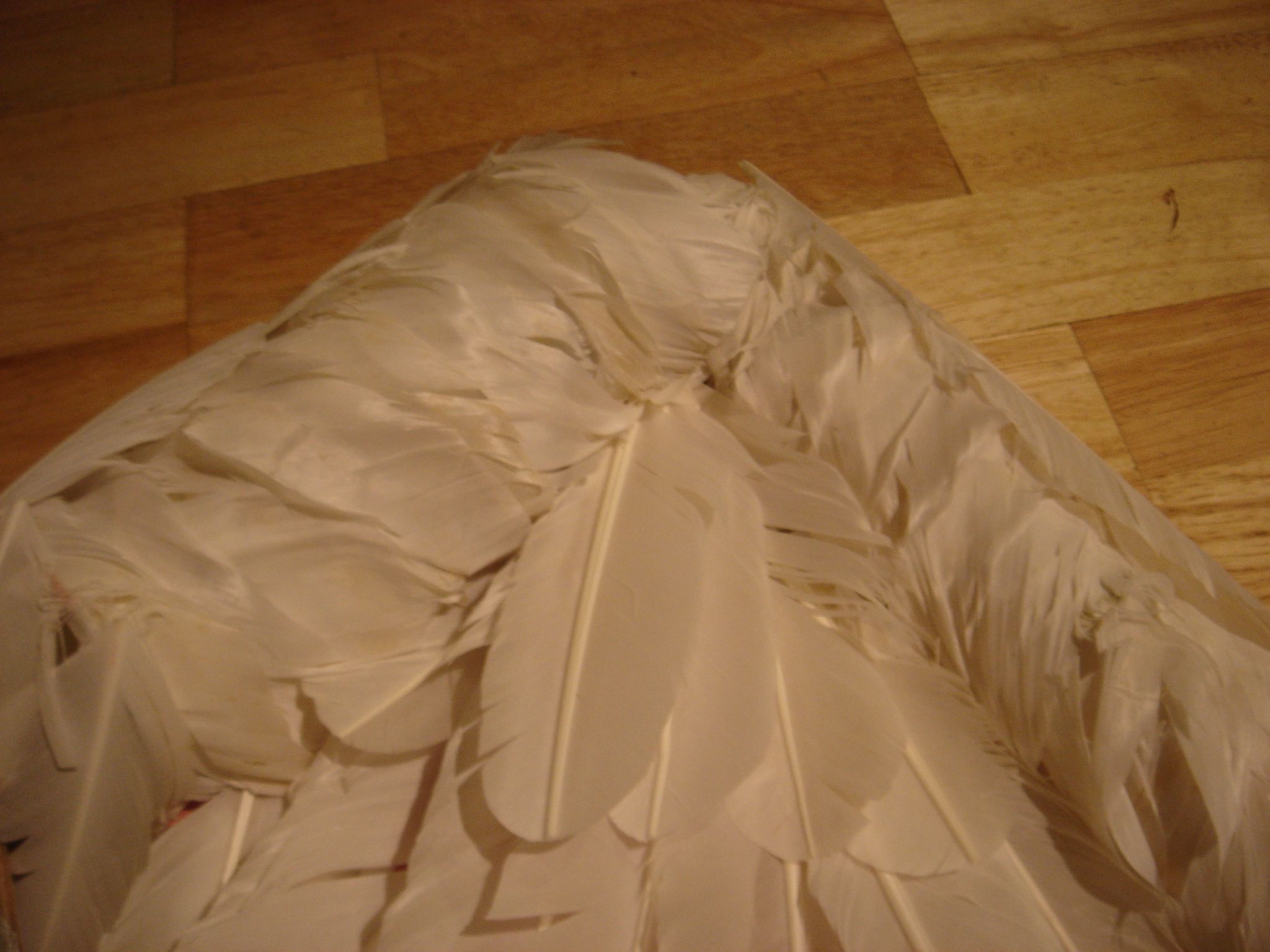 How to Make a Pair of Angel Wings : 15 Steps (with Pictures ...
