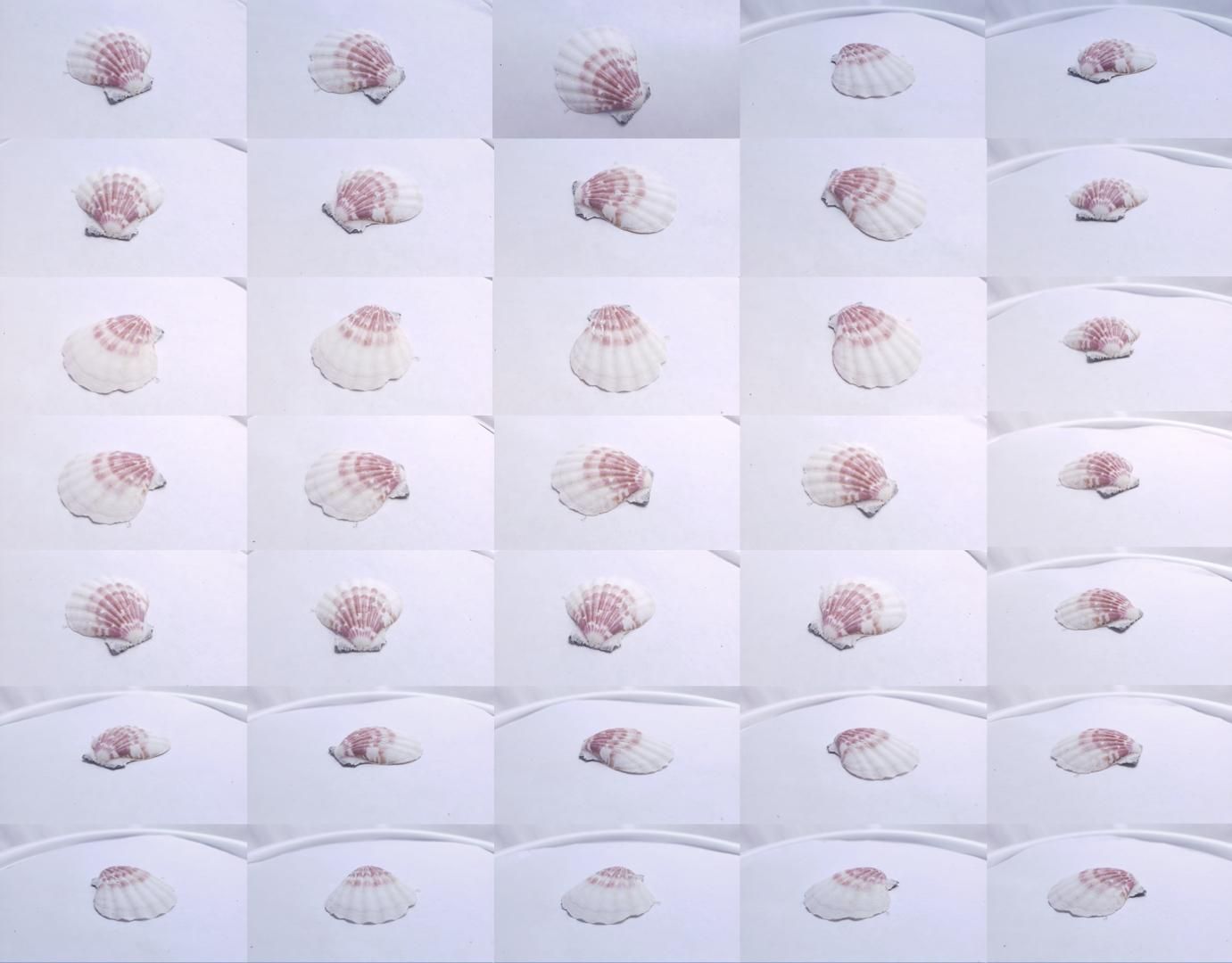 Pearl With Shell Pendant : 5 Steps (with Pictures) - Instructables