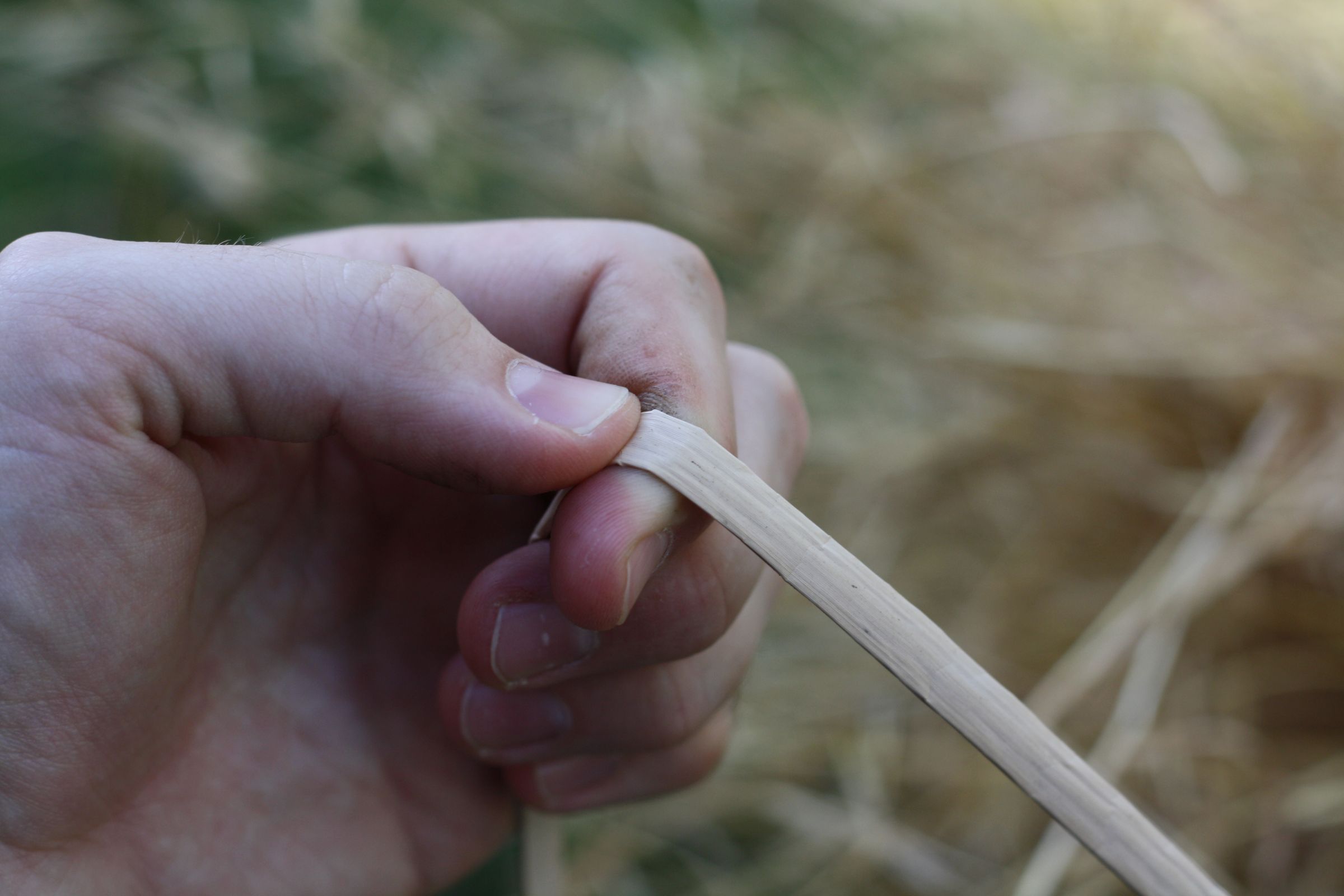 The Expedient Grass Basket : 6 Steps (with Pictures) - Instructables