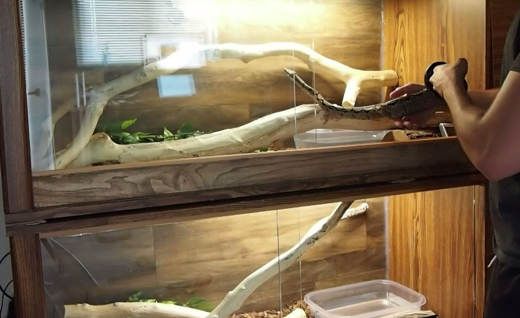 DIY Snake Cage : 12 Steps (with Pictures) - Instructables