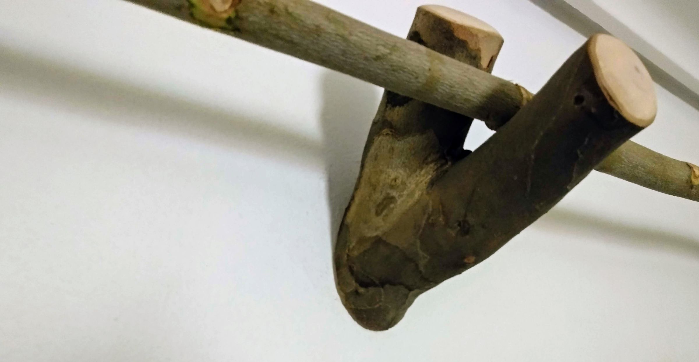 Tree Branch Curtain Rods/ Fairy-tale Sun Blockers : 6 Steps (with ...