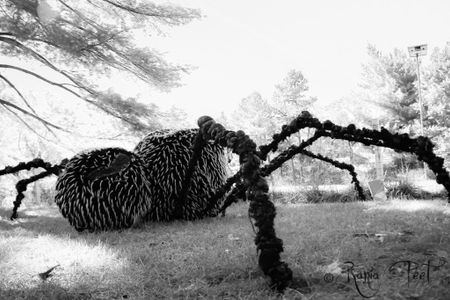 The Build of a Giant Spider : 7 Steps (with Pictures) - Instructables