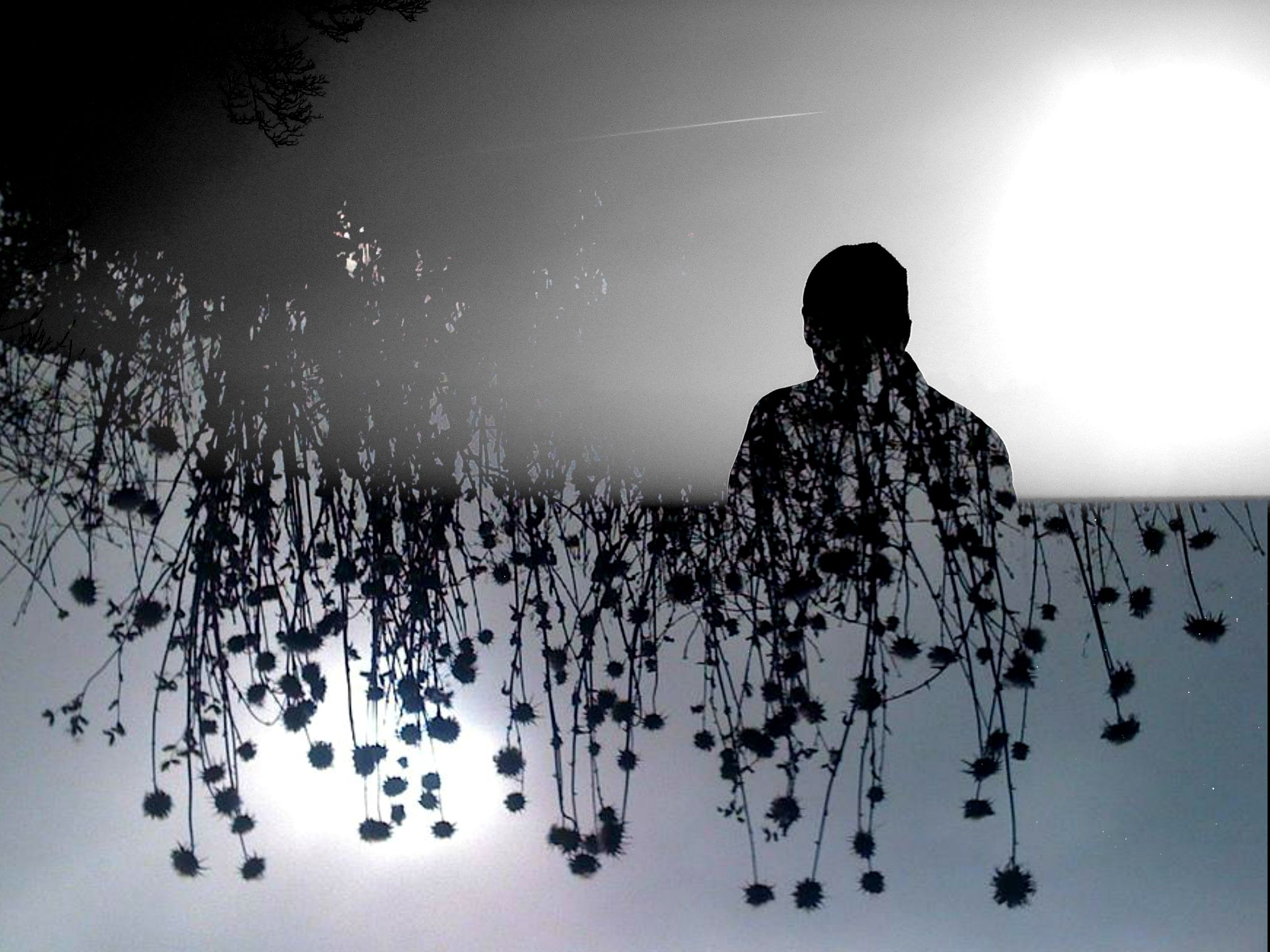 Make an Artistic Double Exposure Silhouette With Pixlr Editor : 3 Steps ...