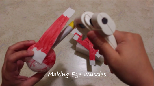How to Make 3D Human Eye Model: Easy Way - Instructables