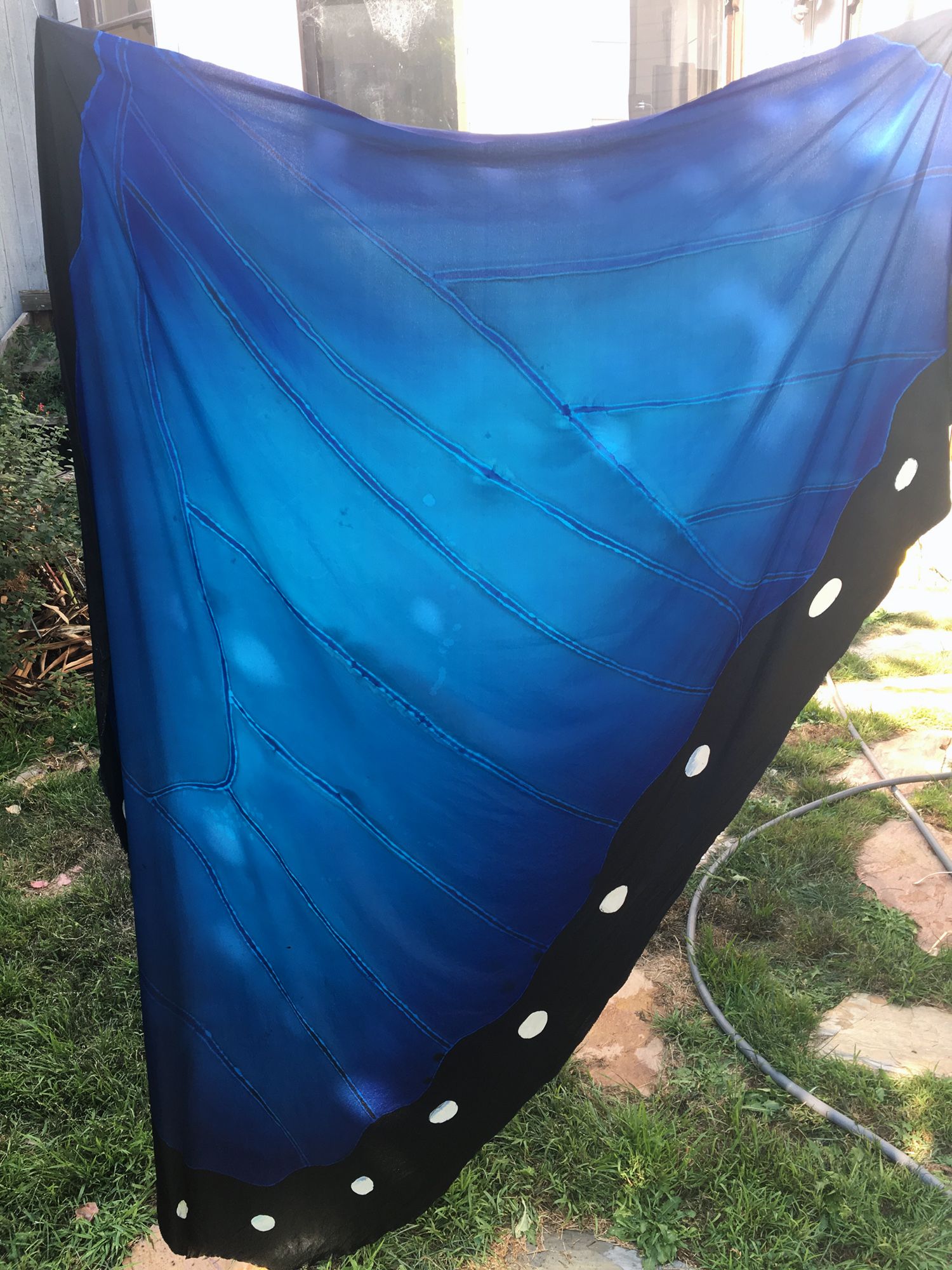 DIY Butterfly Wings : 18 Steps (with Pictures) - Instructables