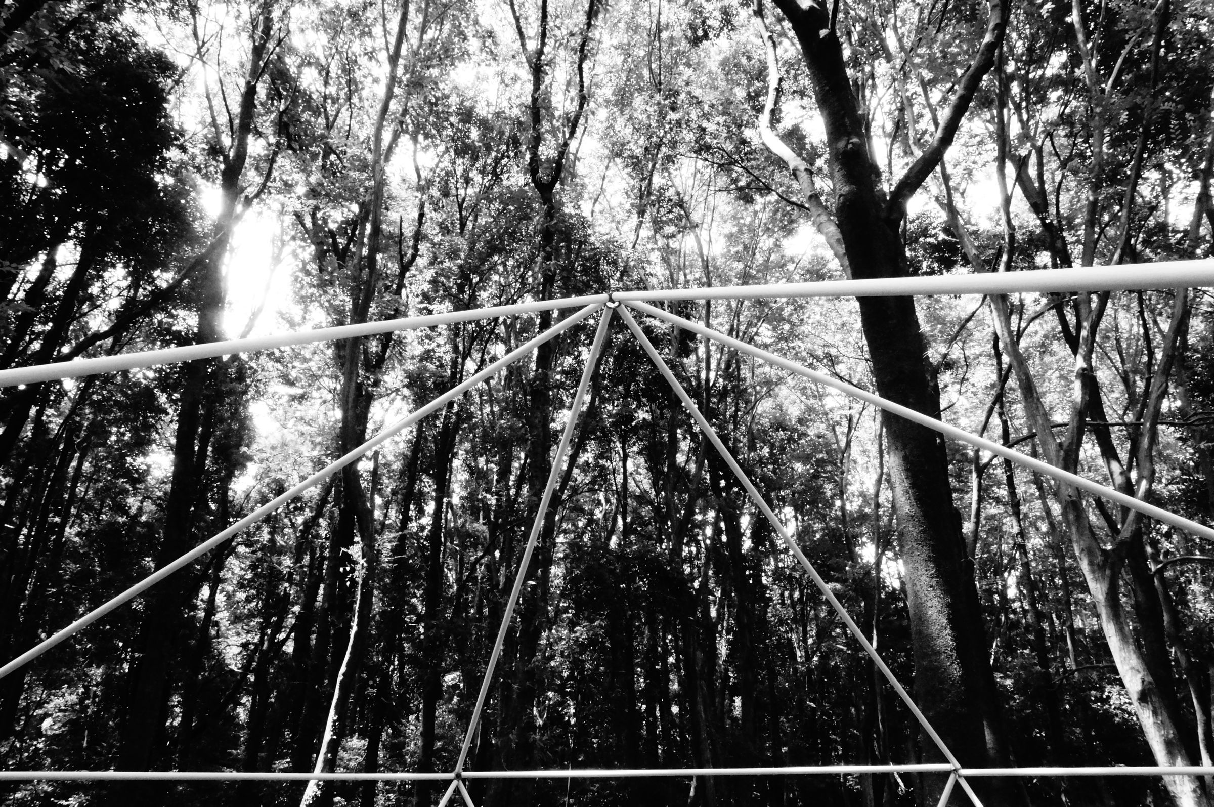 Let's Build Your Simple Dome With "PLLWS"! : 4 Steps (with Pictures ...