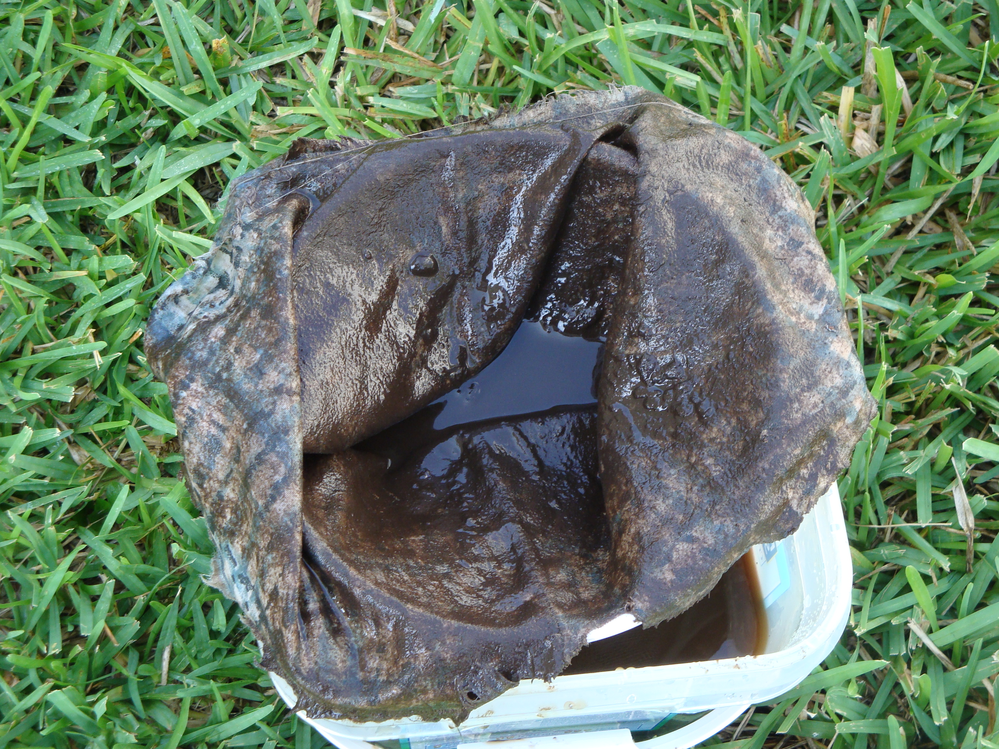 Making Compost Tea : 5 Steps (with Pictures) - Instructables