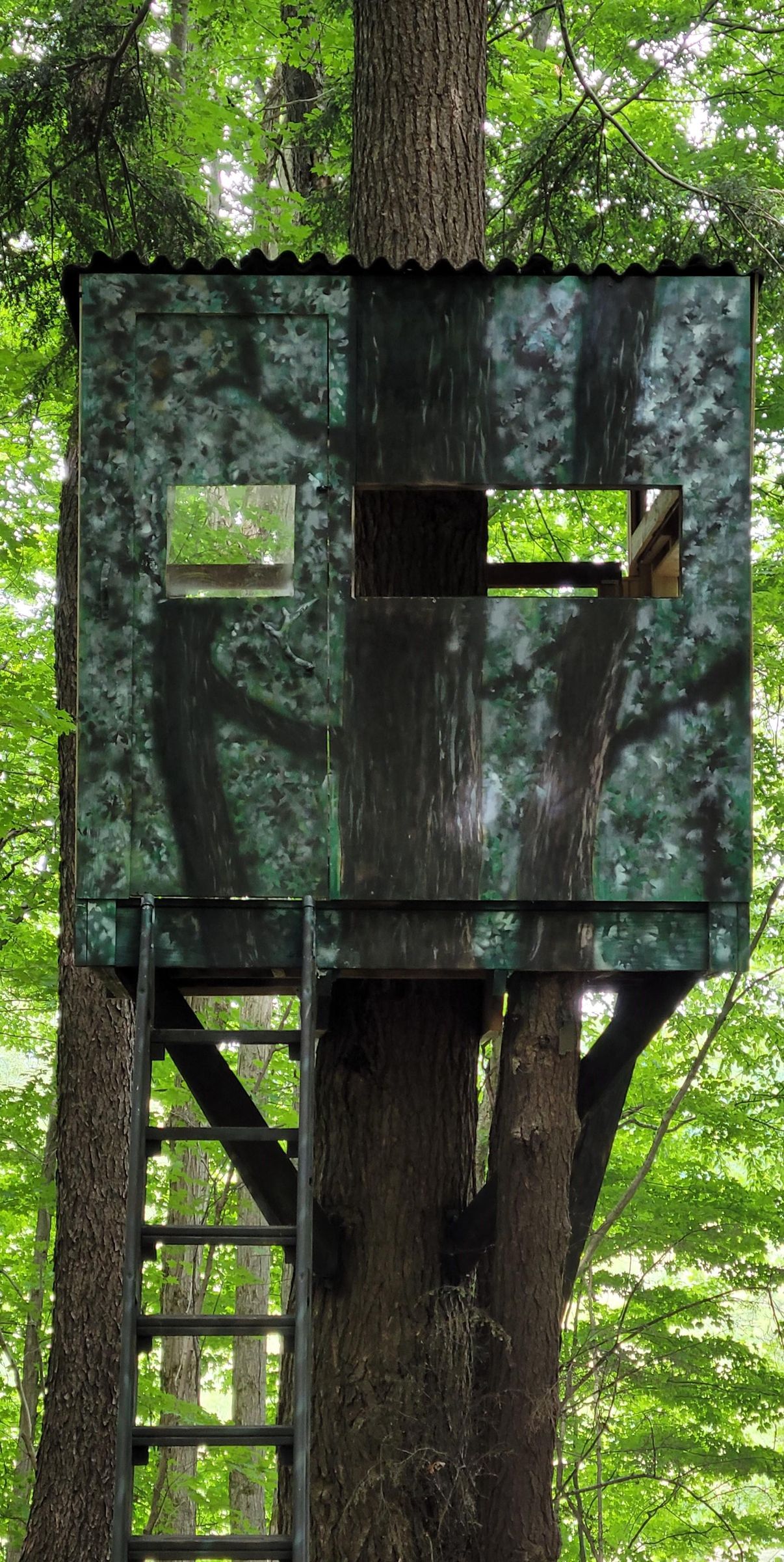 Tree Stand Blind : 12 Steps (with Pictures) - Instructables