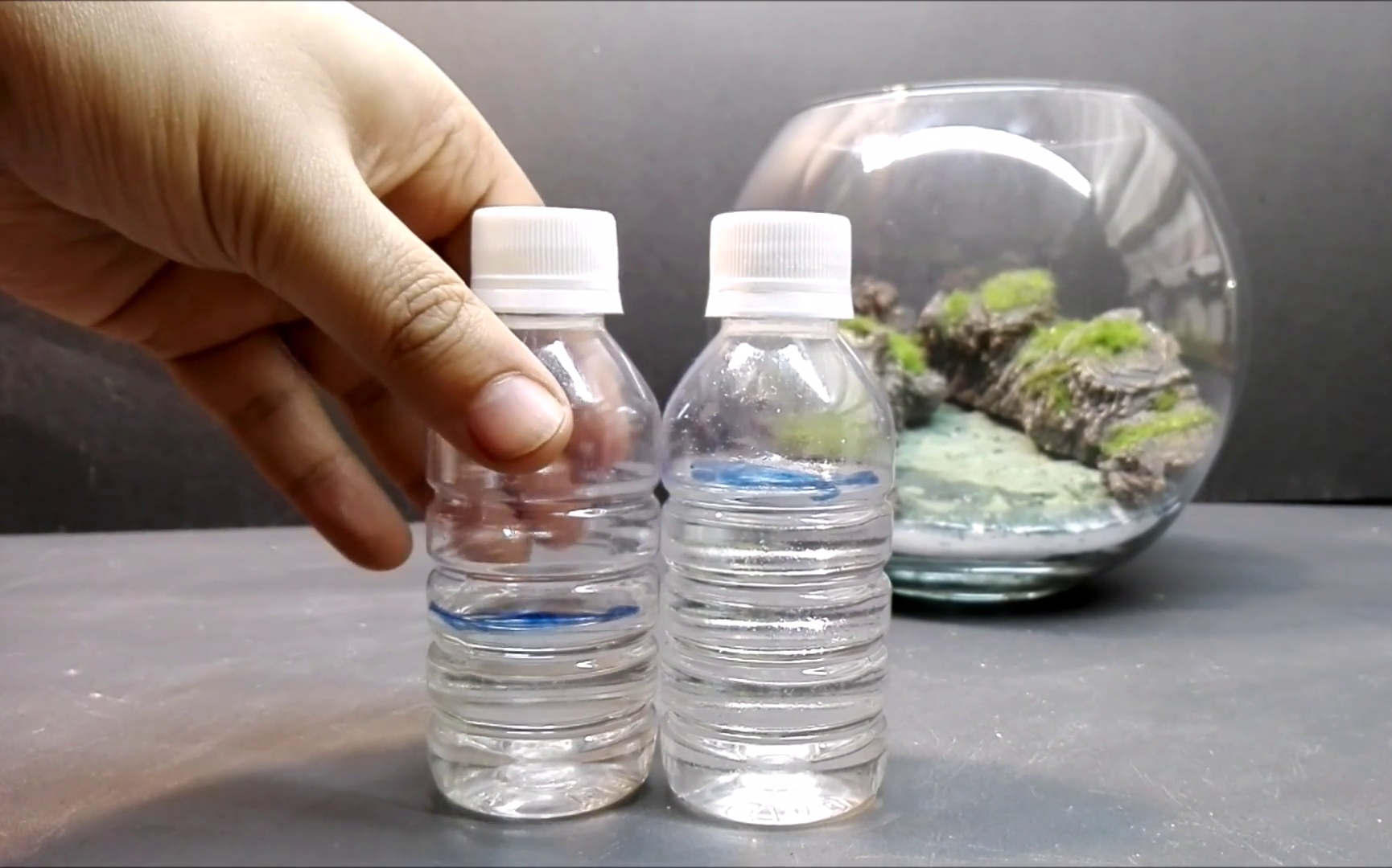 DIY River Terrarium|Diorama|Aquascape : 5 Steps - Instructables