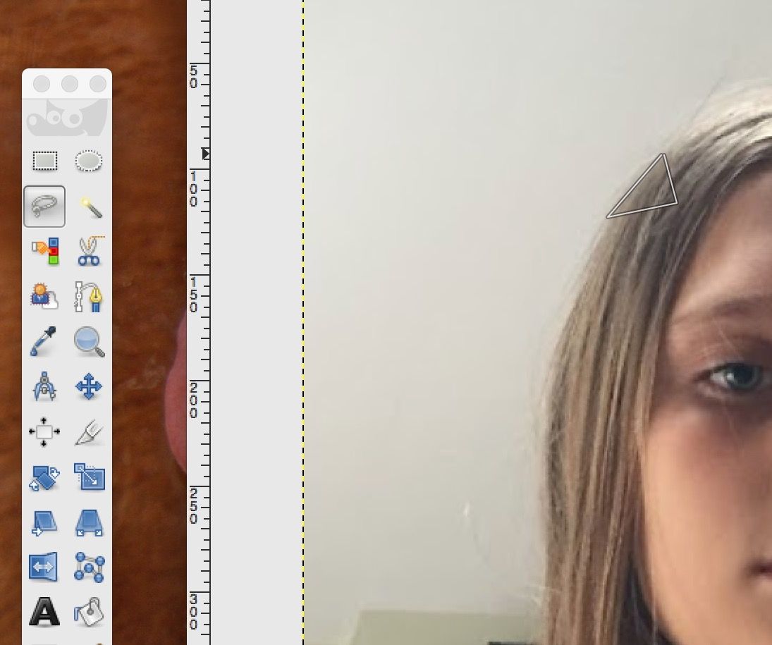 How to Make a Low Poly Image (with Gimp) : 14 Steps - Instructables