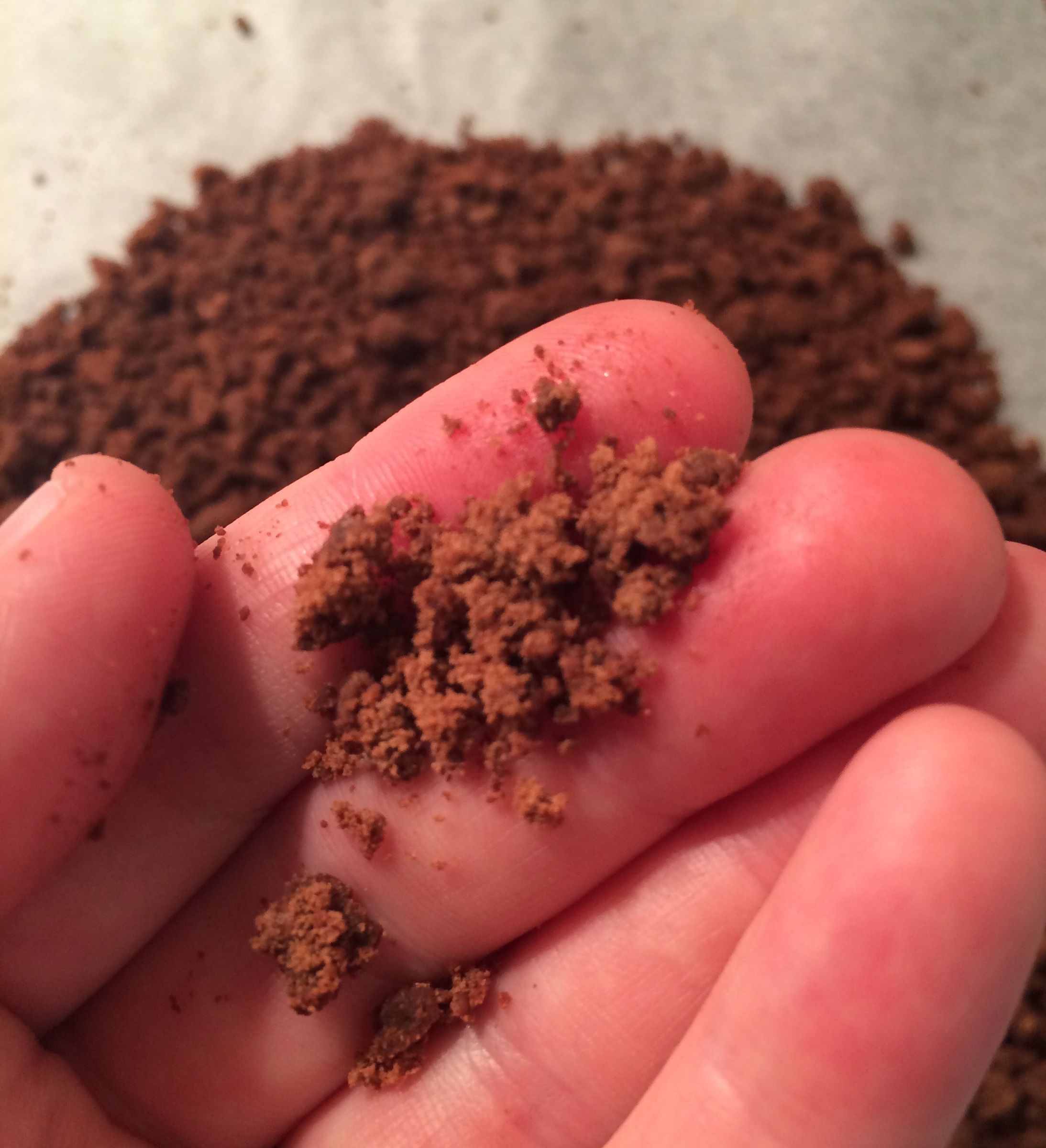 Chocolate Dirt. : 4 Steps (with Pictures) - Instructables