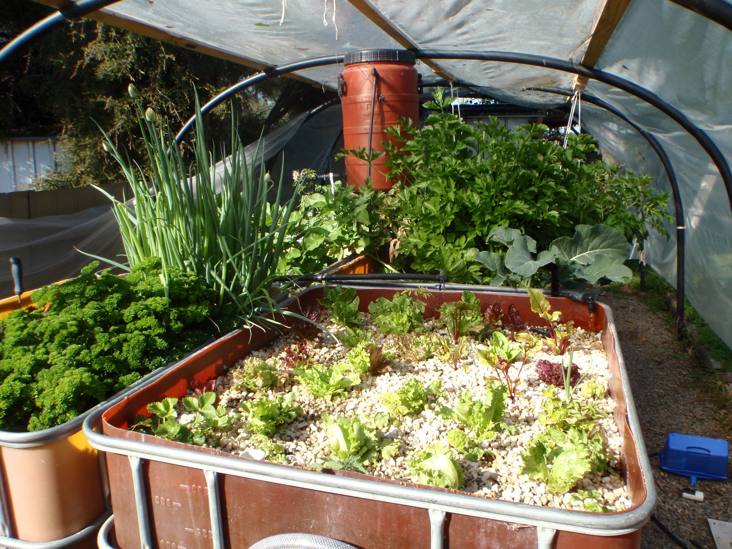 Vermiponic Garden : 12 Steps (with Pictures) - Instructables