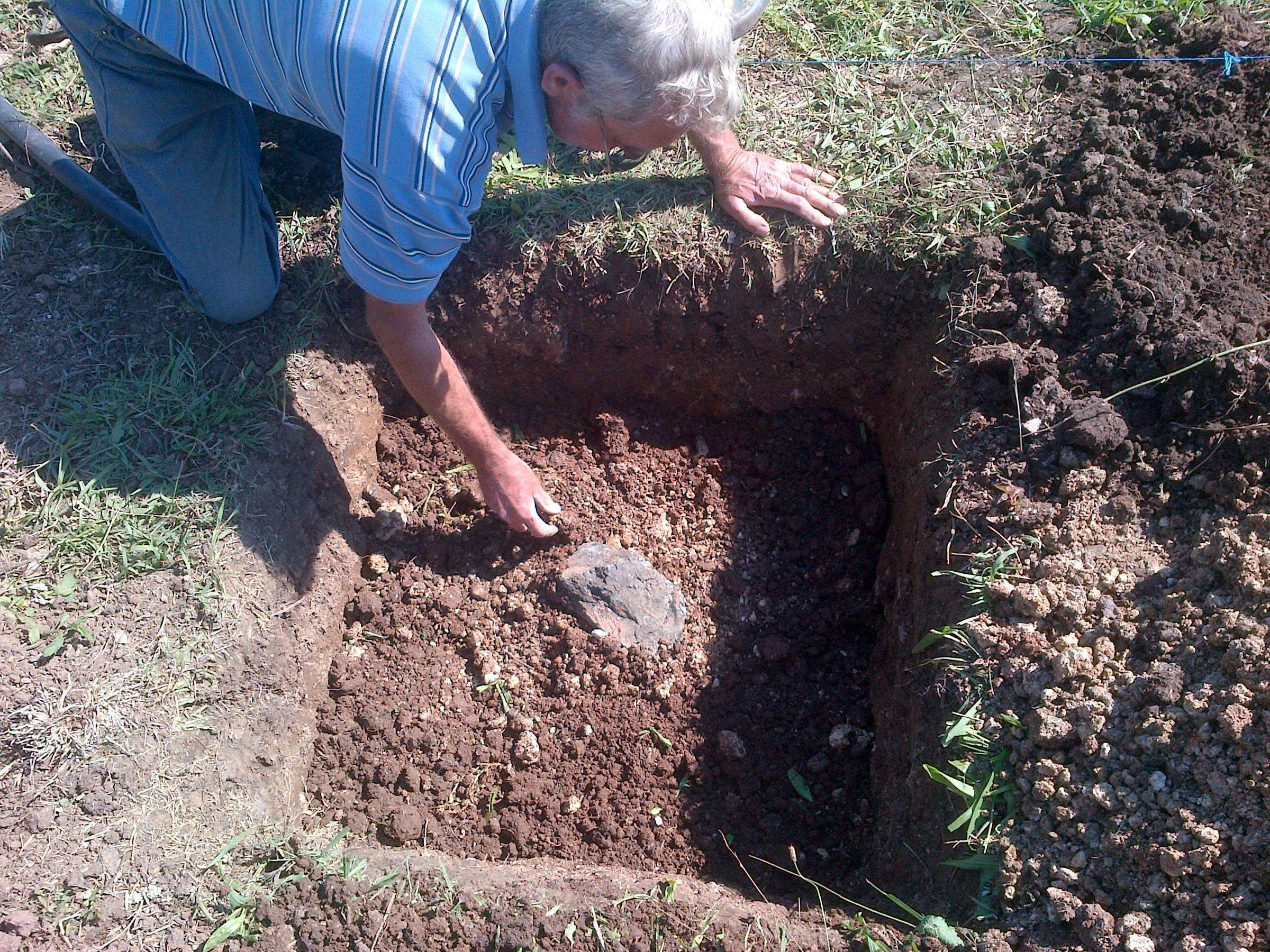 Planting Tree Ellen White Way (EGW) : 11 Steps - Instructables