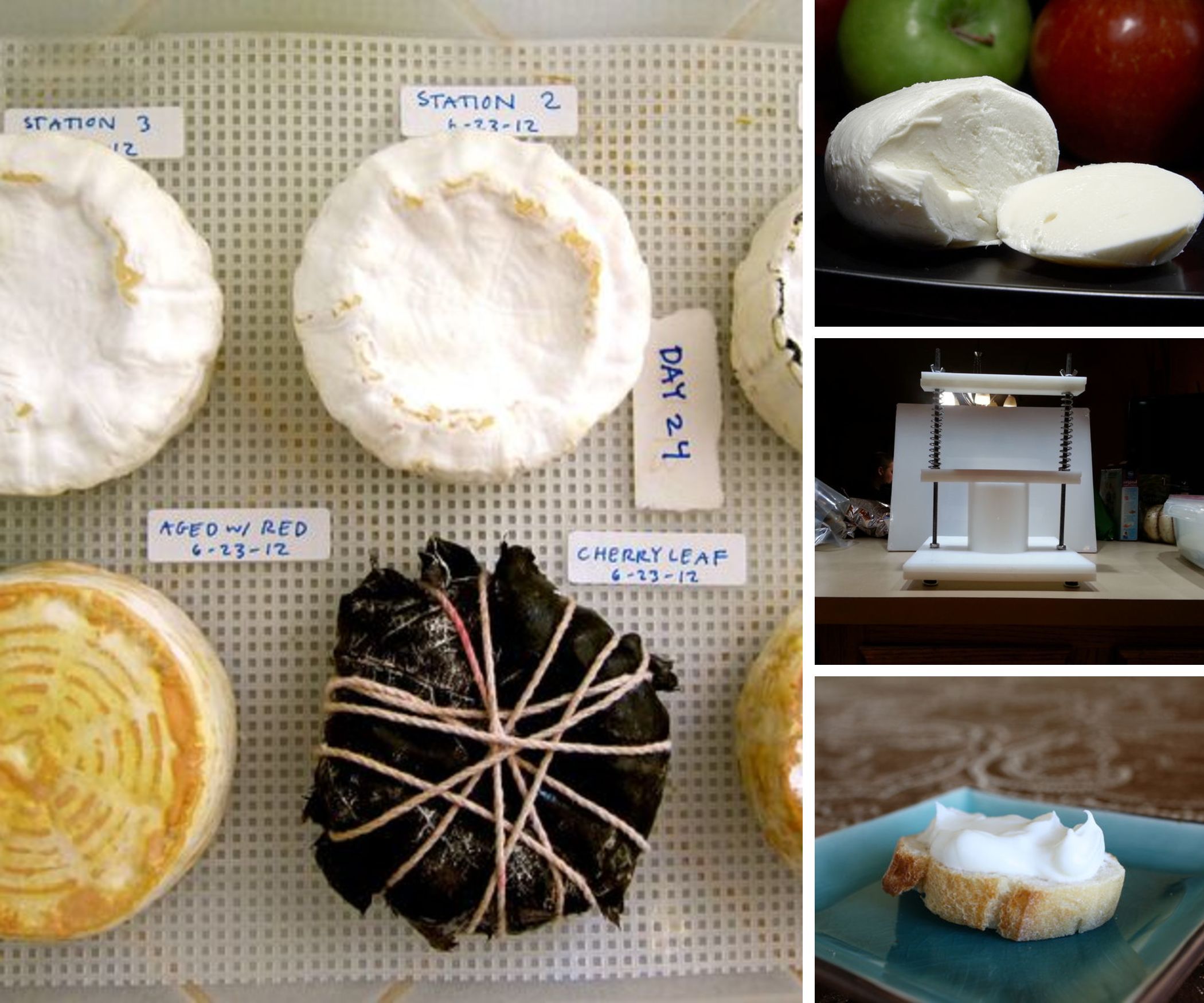 Home Dairy - Instructables