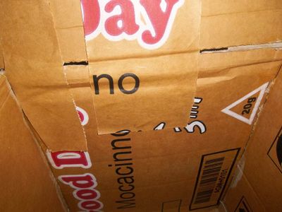 DIY Cardboard Backpack : 11 Steps (with Pictures) - Instructables