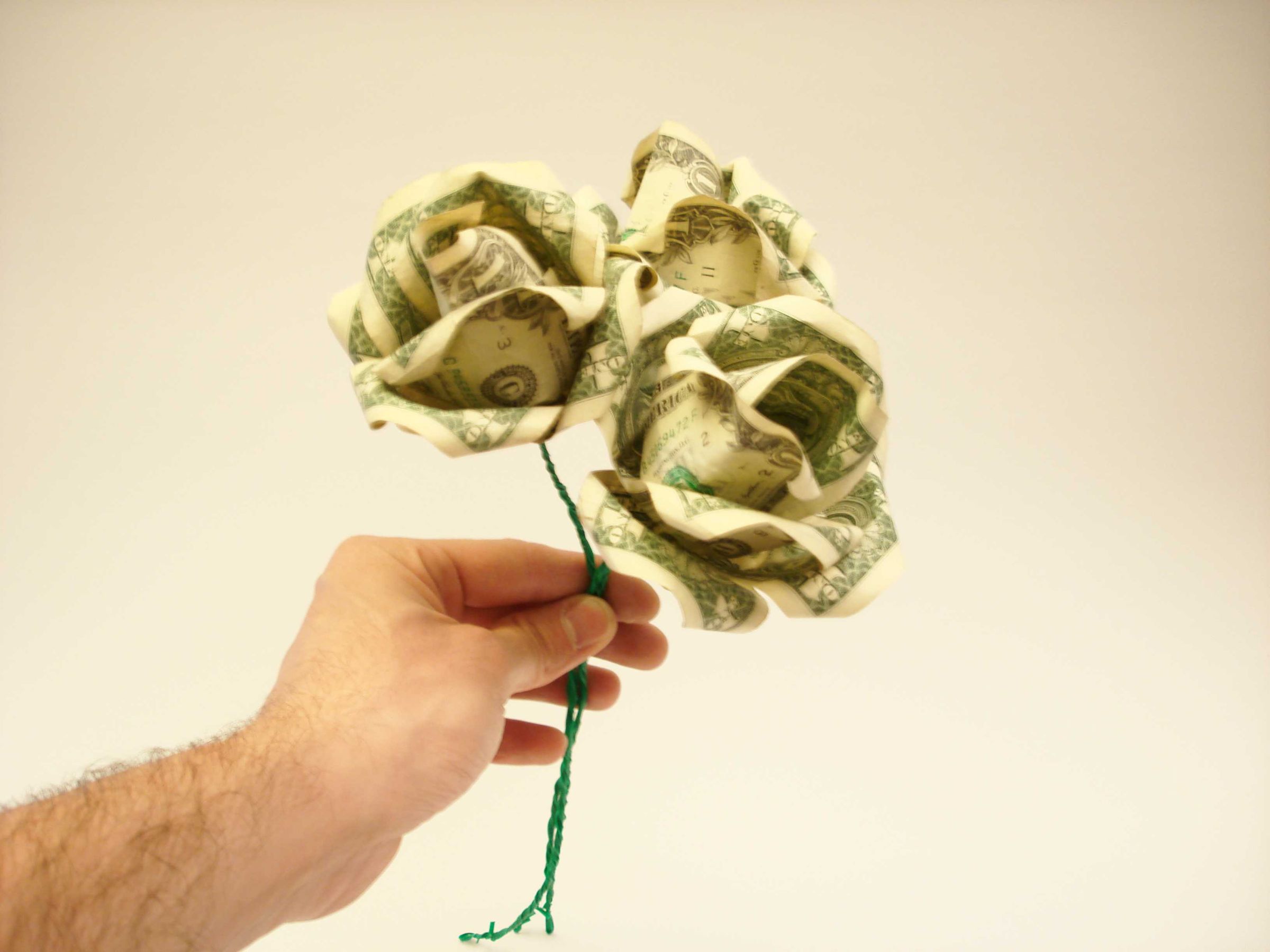 Dollar Bill Flower Bouquet : 7 Steps (with Pictures) - Instructables
