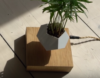 DIY Levitating Plant! : 7 Steps (with Pictures) - Instructables
