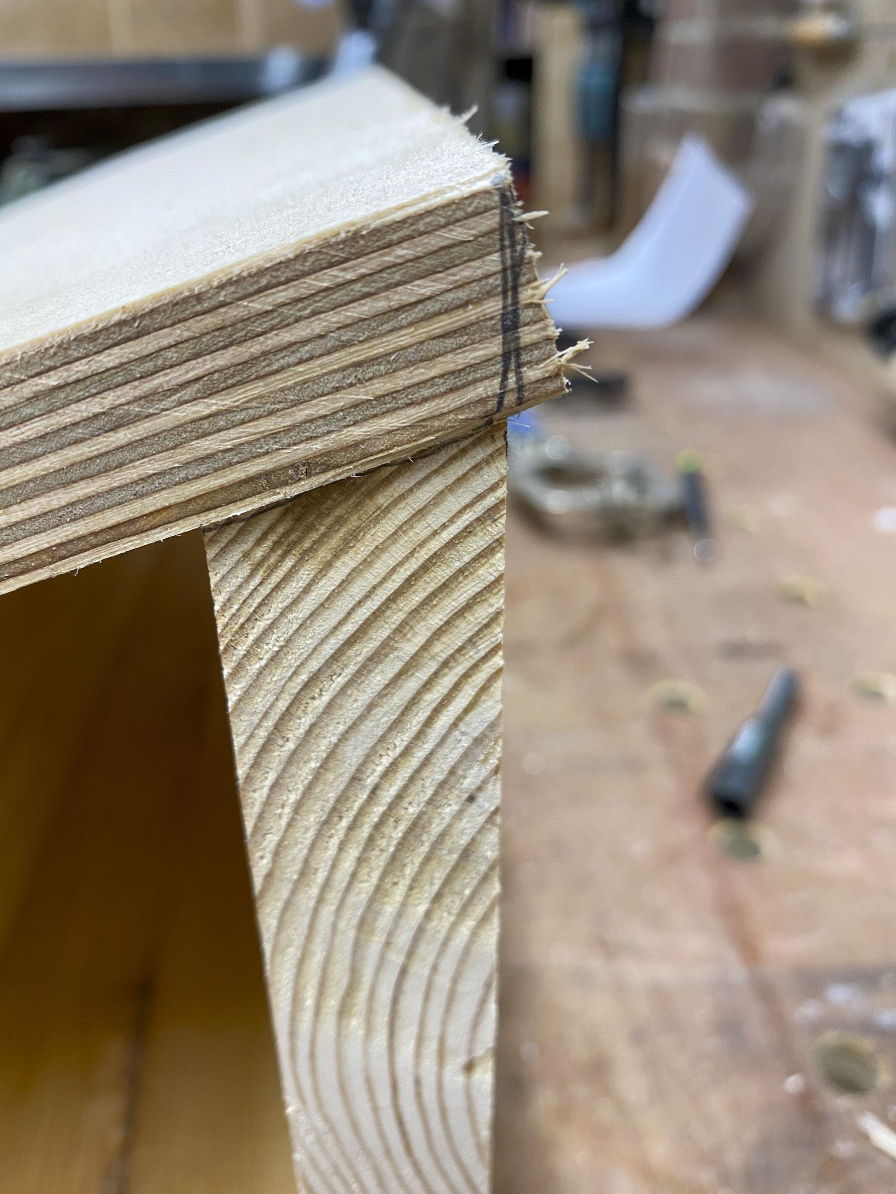 🐦 House Sparrow 🐦 Bird Box Terrace 🐦 : 11 Steps (with Pictures ...