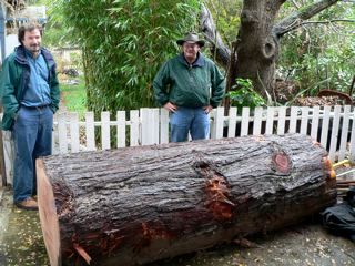 Dugout Canoe : 7 Steps (with Pictures) - Instructables