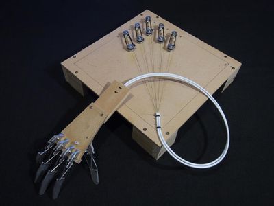 Voice Controlled Robot Hand : 8 Steps (with Pictures) - Instructables