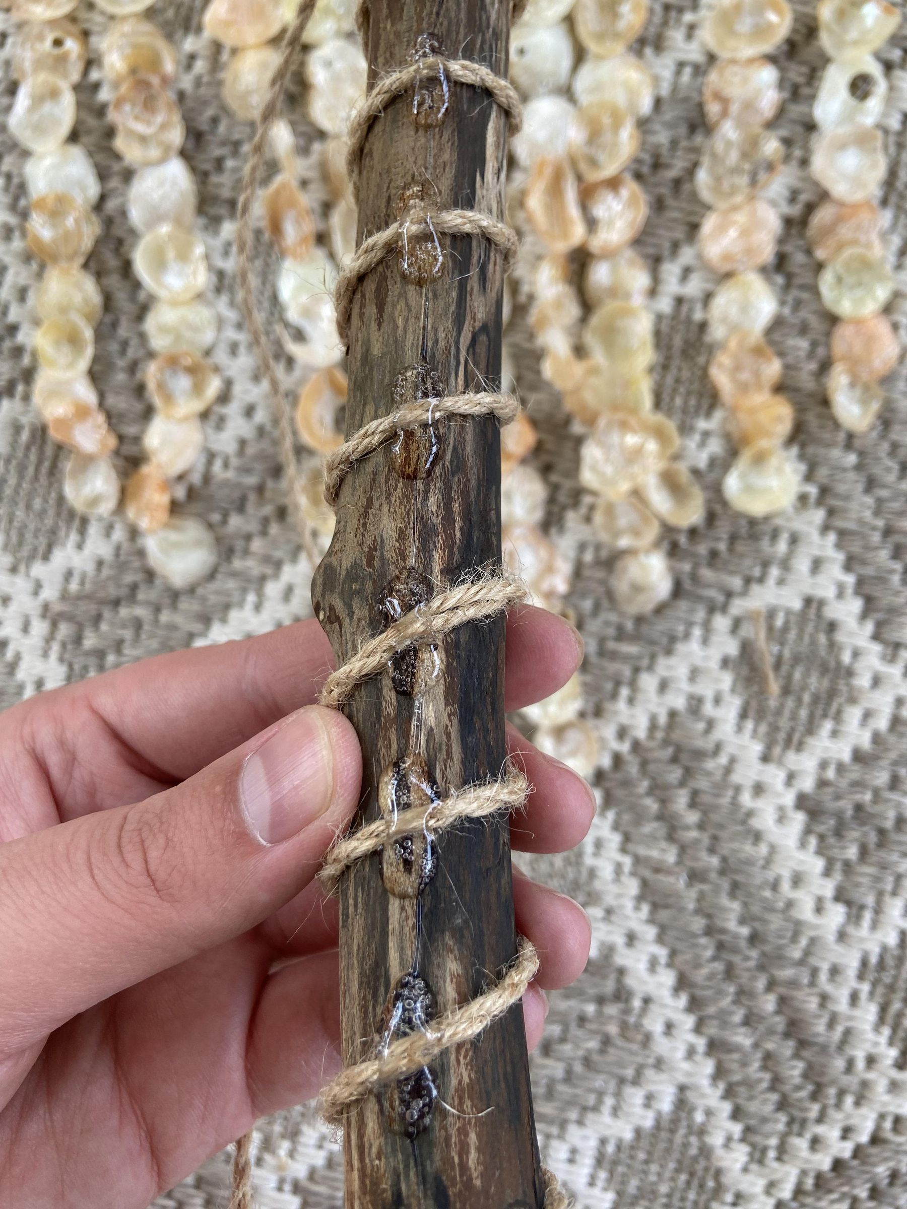 Seashell Wall Hanging : 6 Steps (with Pictures) - Instructables