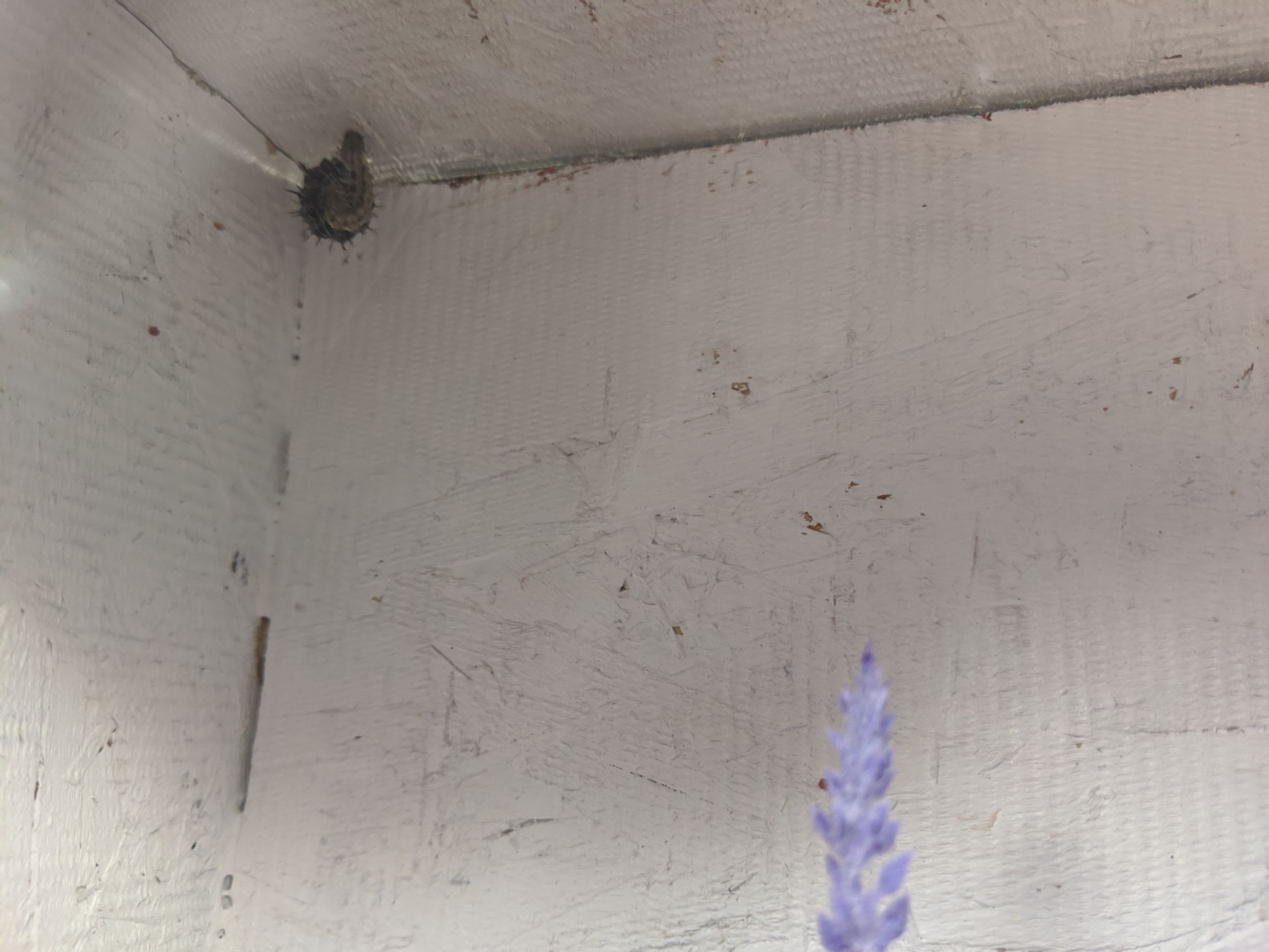 Butterfly Garden Boxes : 5 Steps (with Pictures) - Instructables