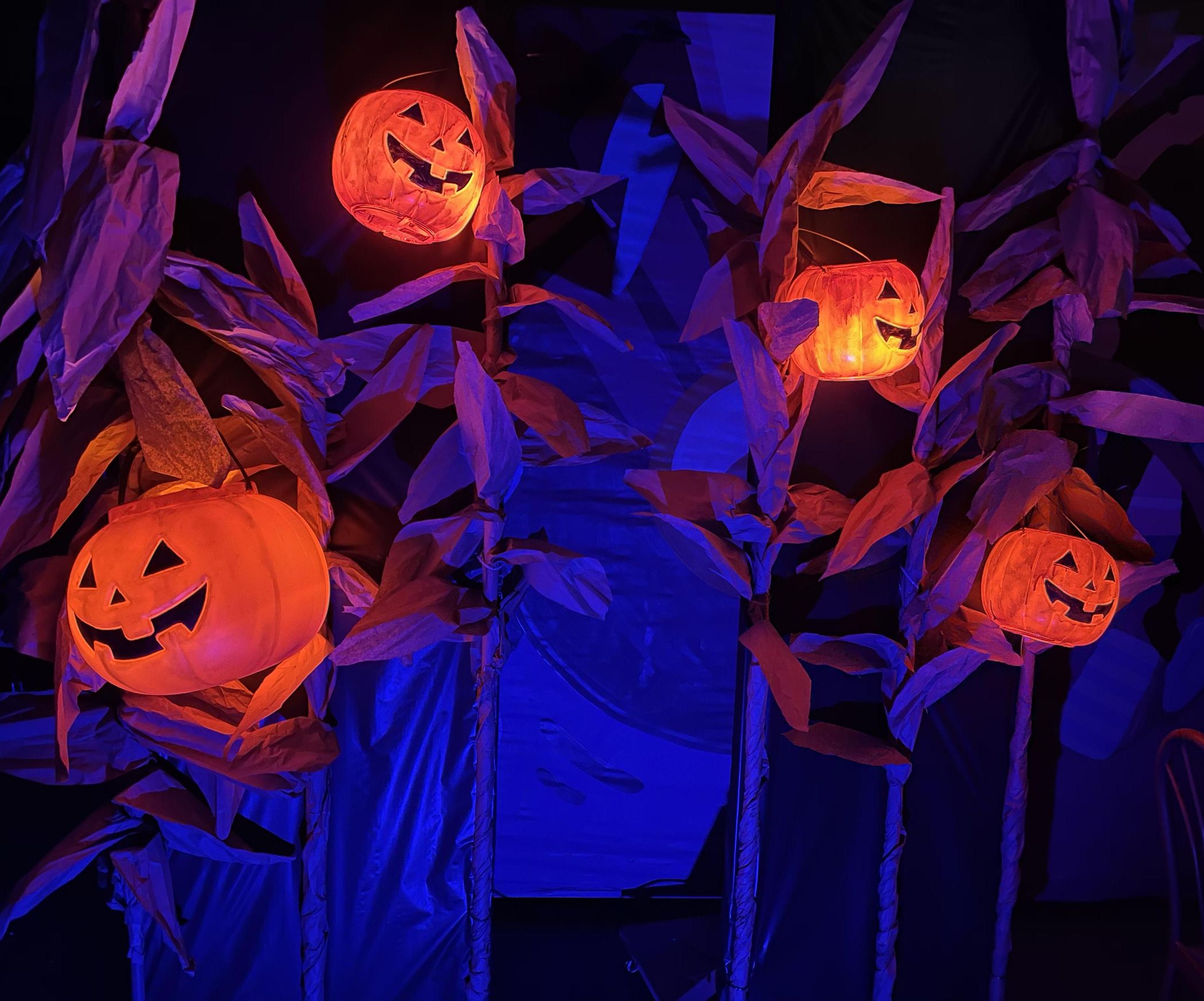 DIY Halloween Cornstalks : 4 Steps (with Pictures) - Instructables