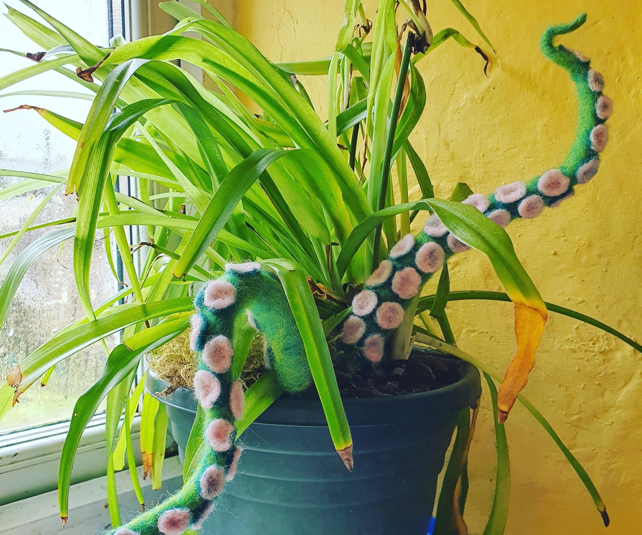 Tentacles : 4 Steps (with Pictures) - Instructables