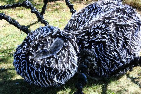 The Build of a Giant Spider : 7 Steps (with Pictures) - Instructables