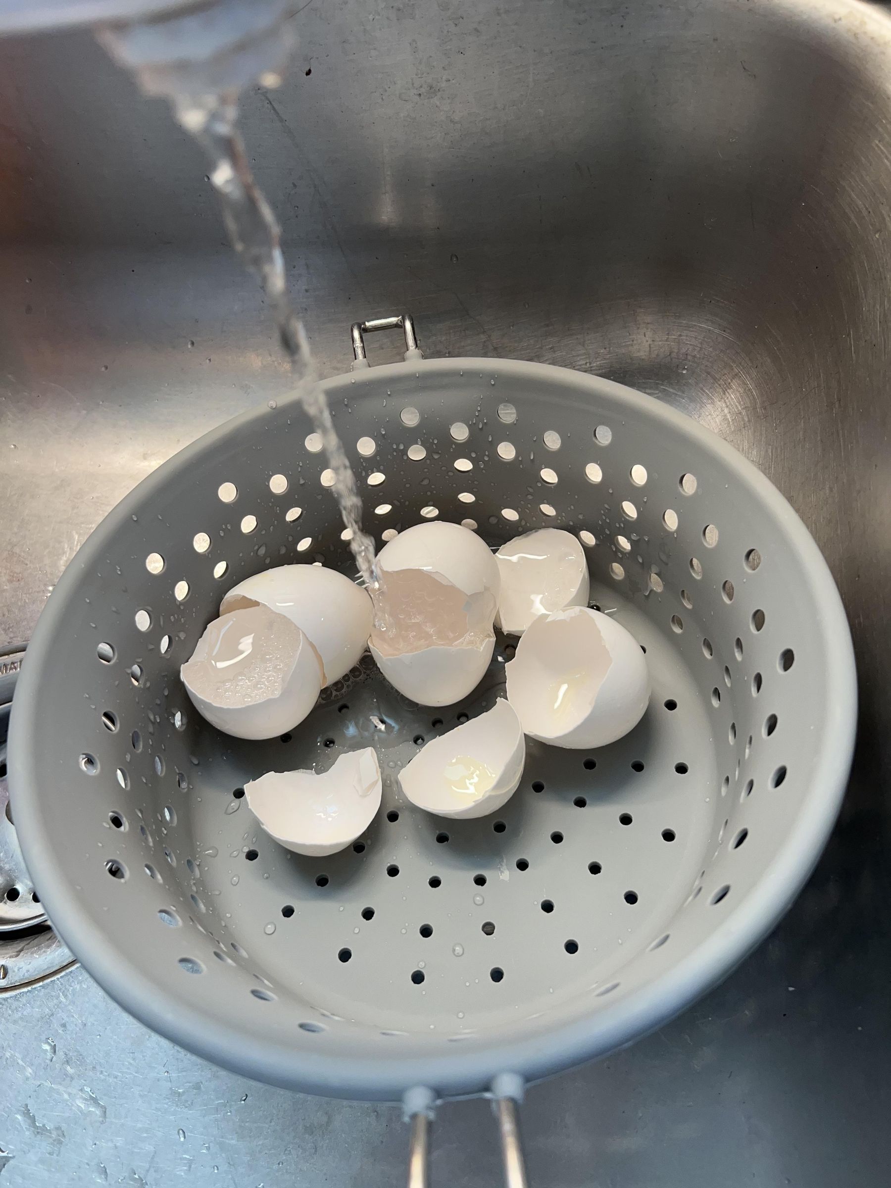 Healthful Egg Shells! : 9 Steps (with Pictures) - Instructables