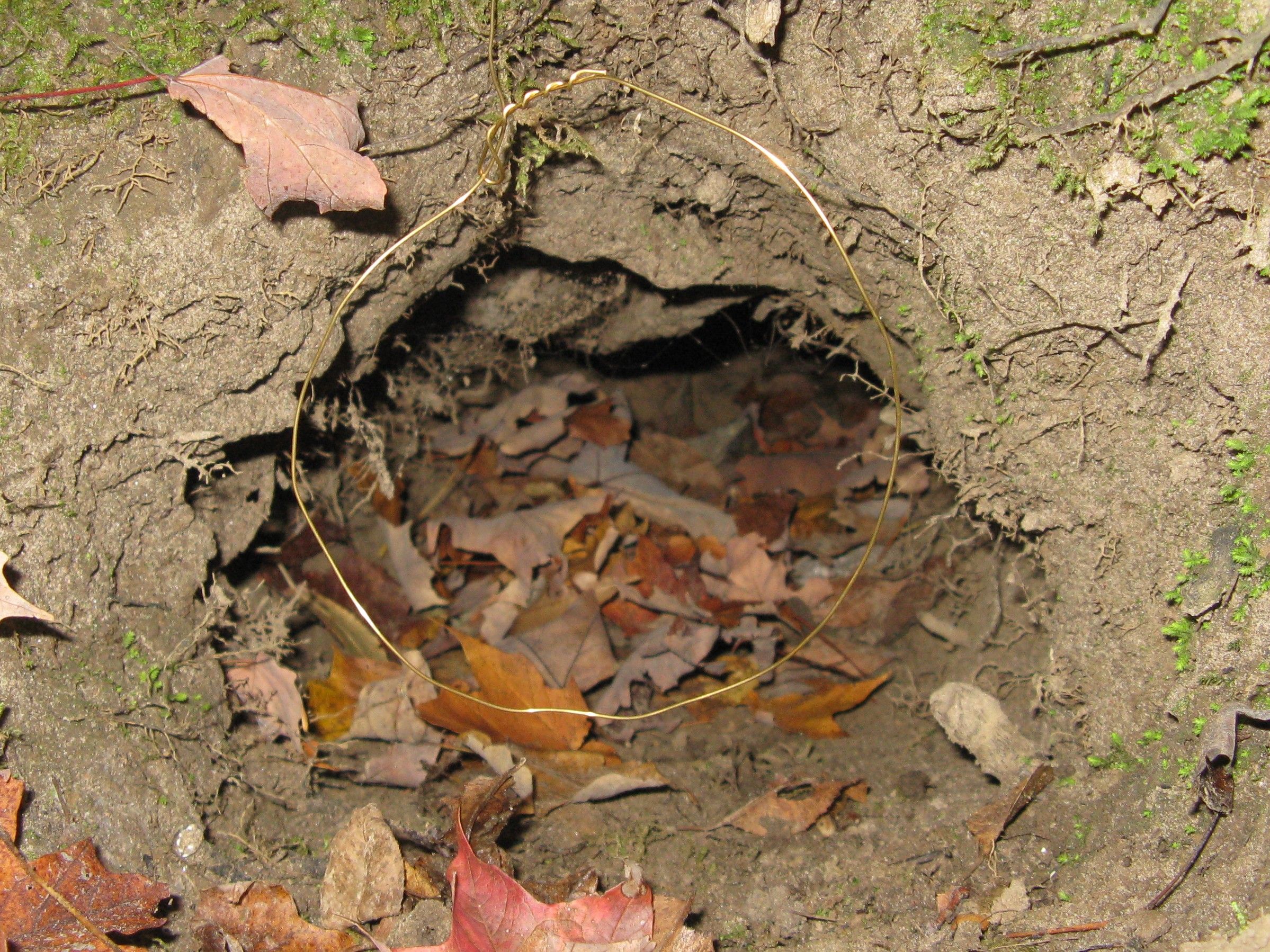 Snaring : 9 Steps (with Pictures) - Instructables