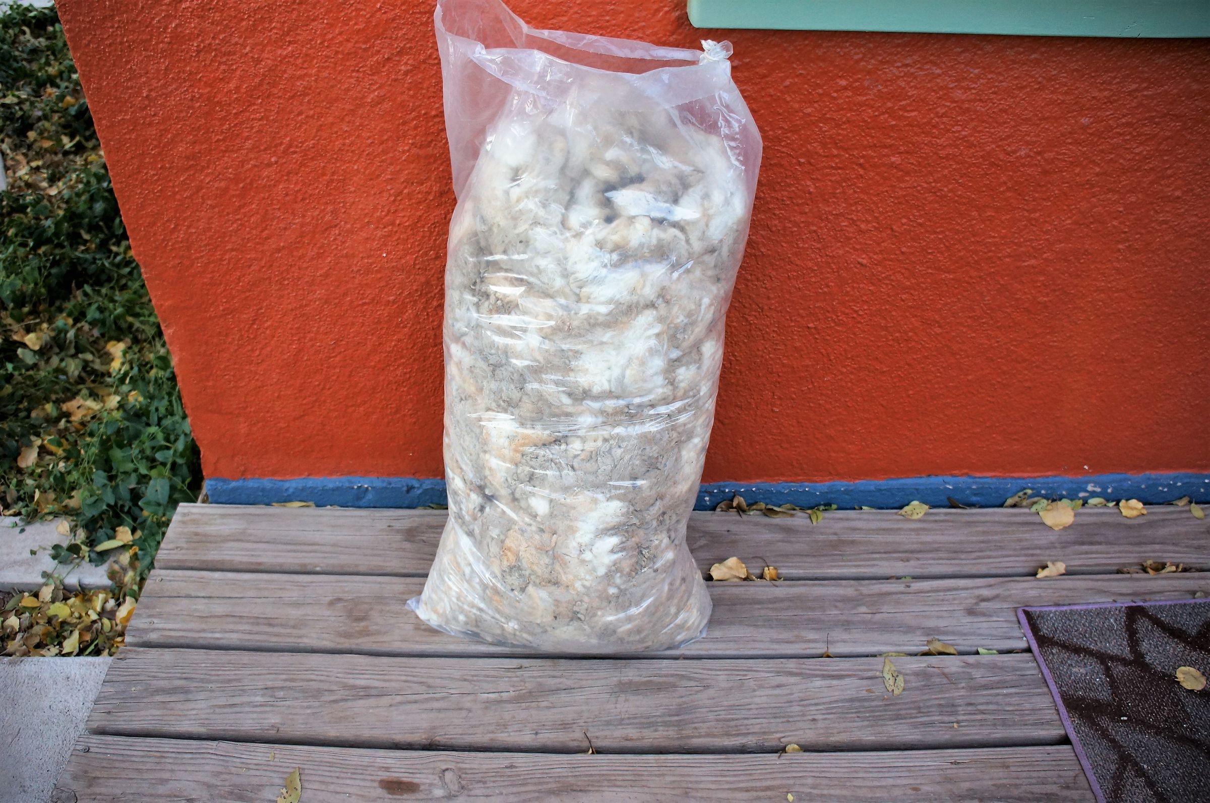 How to Process Card and Dye Raw Wool : 12 Steps (with Pictures ...