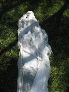 How to Corpse a Skeleton (The Quick and Dirty Way That DOES NOT Involve ...